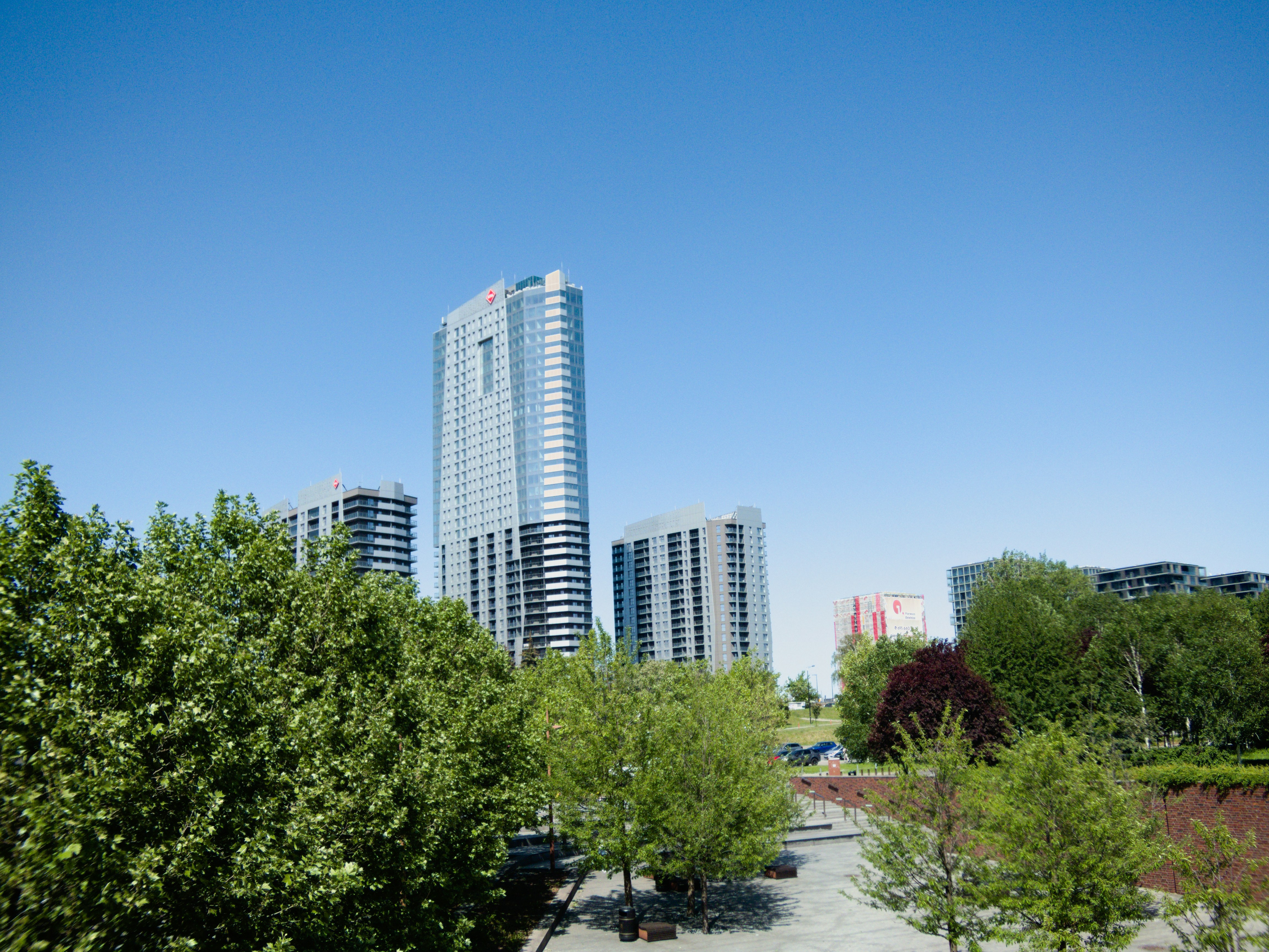 Urban Skyline Meets Green Canopy at Dusk