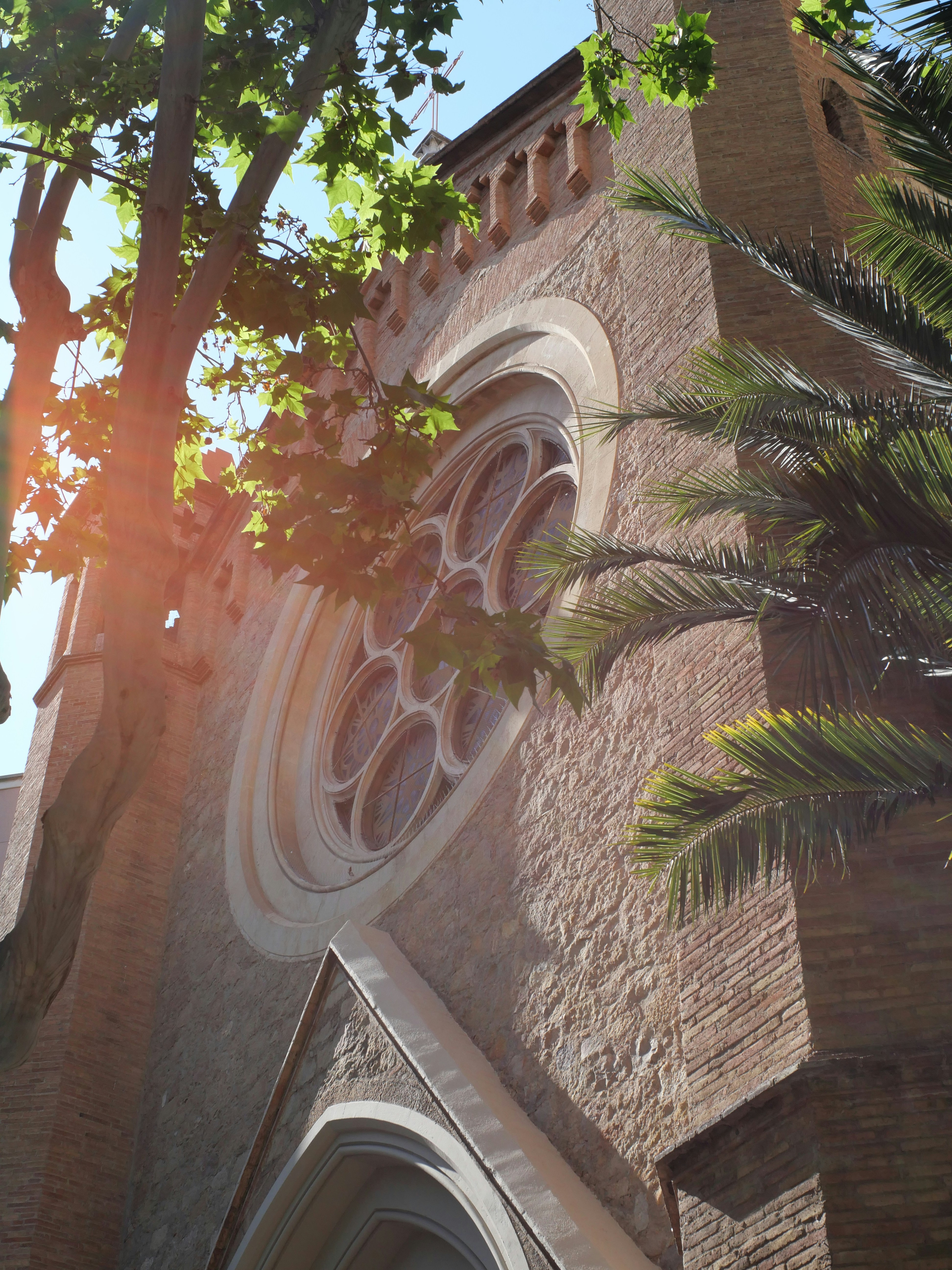 Sunlit Gothic Rose Window Framed by Tropical Foliage