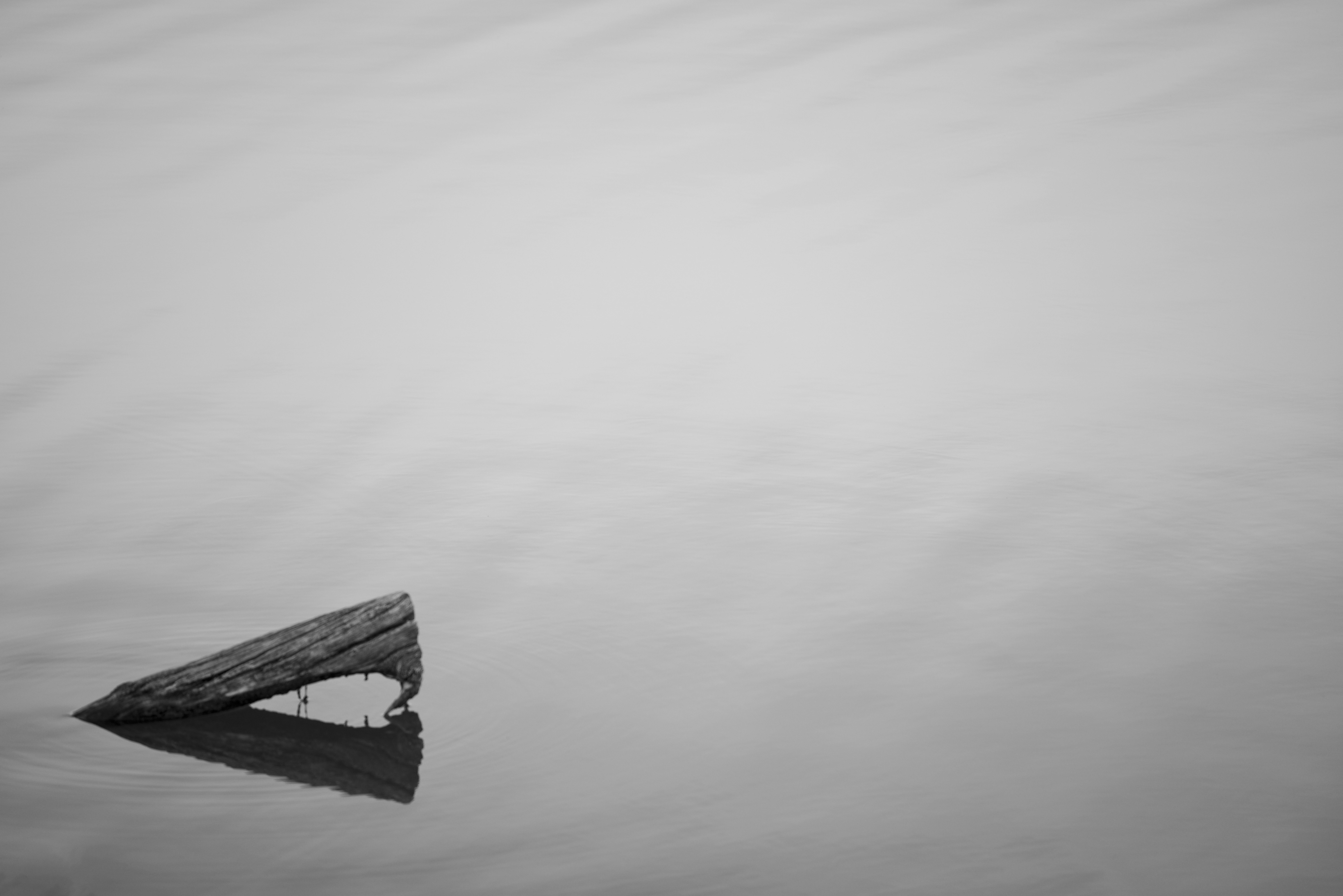 Floating Edge: A Quiet Log Resting on Still Water