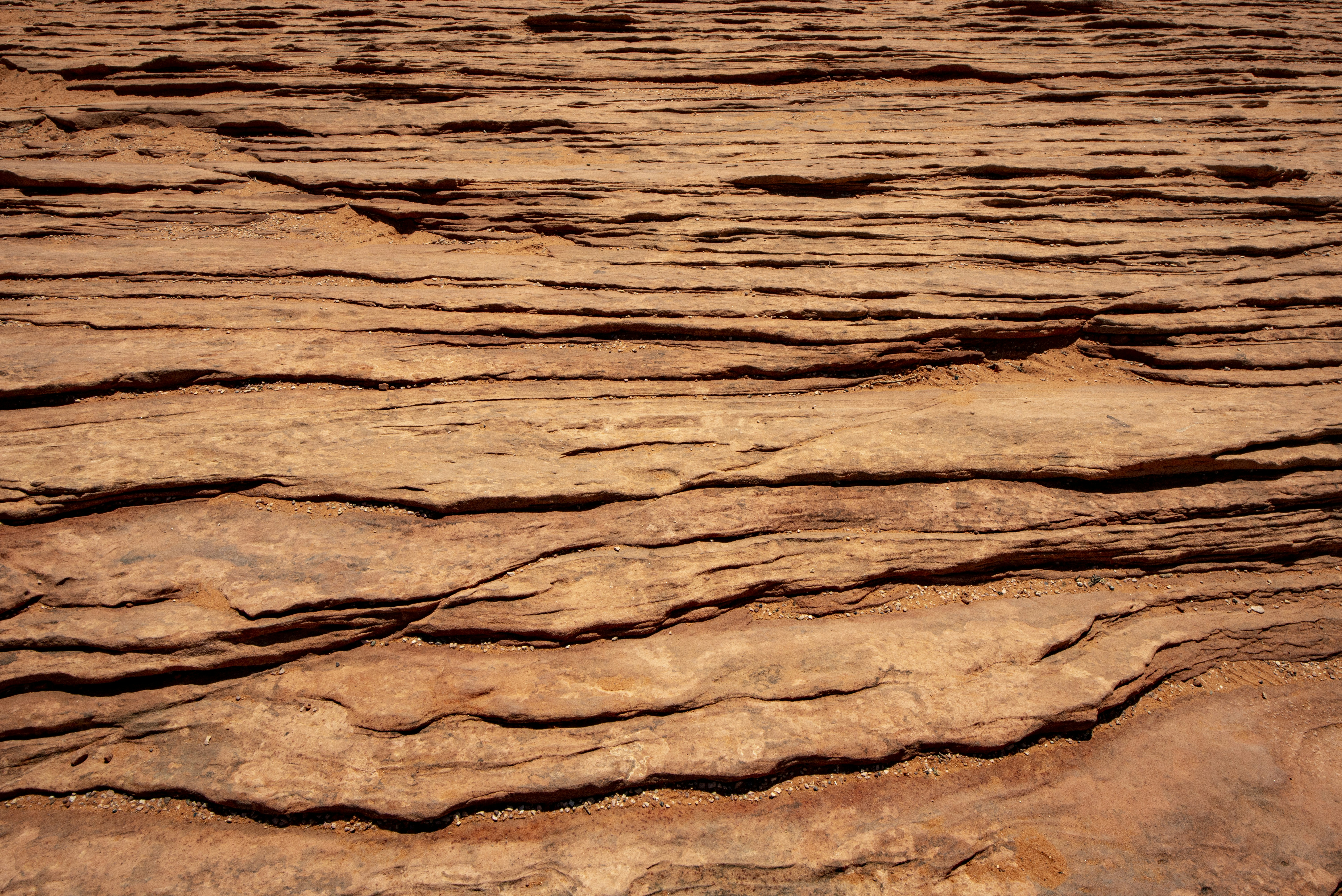 Cracked Earth: Parallel Ridges in Desert Clay at Dusk