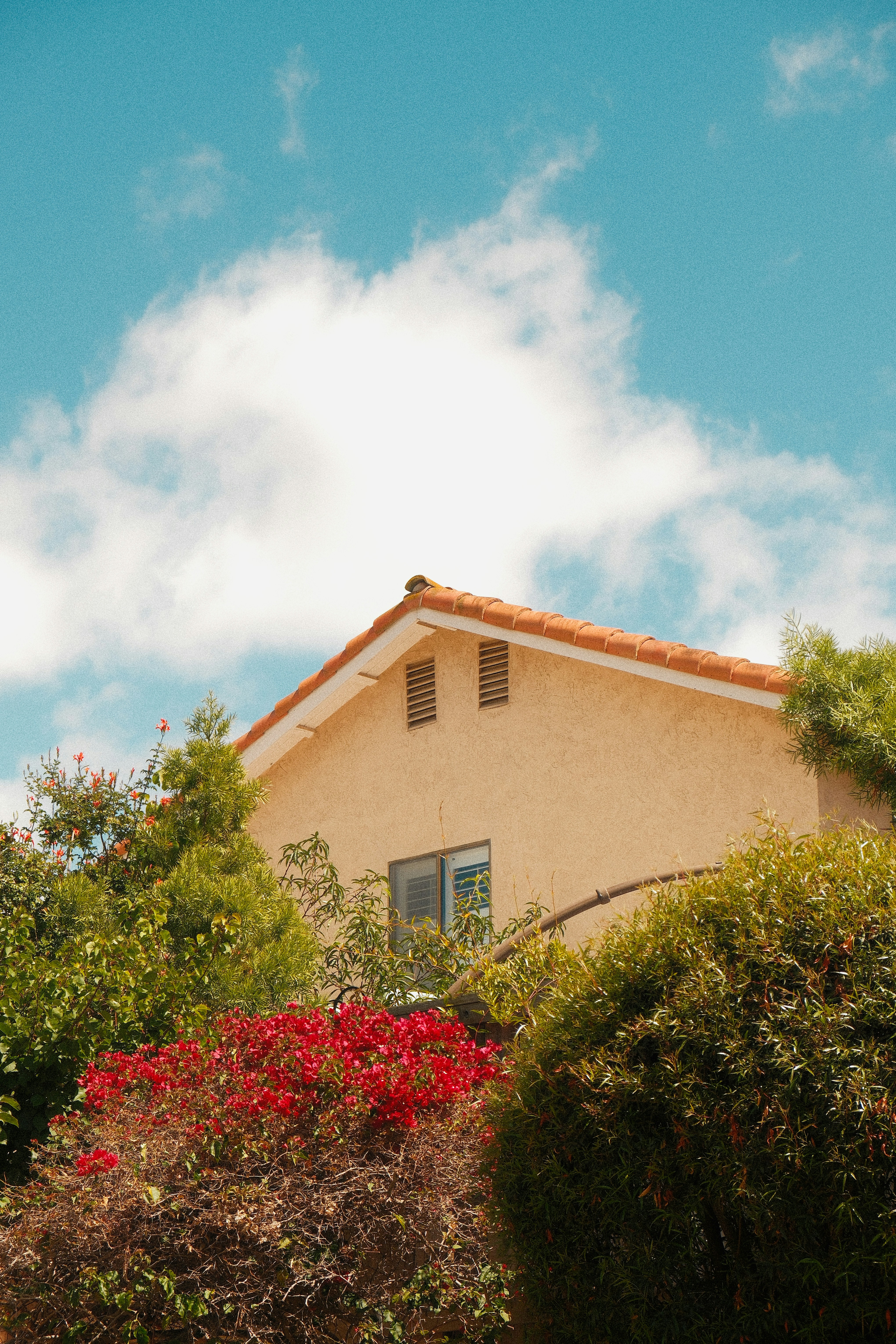 Sunlit Villa in Bloom: A Bright Day Above a Quiet Garden