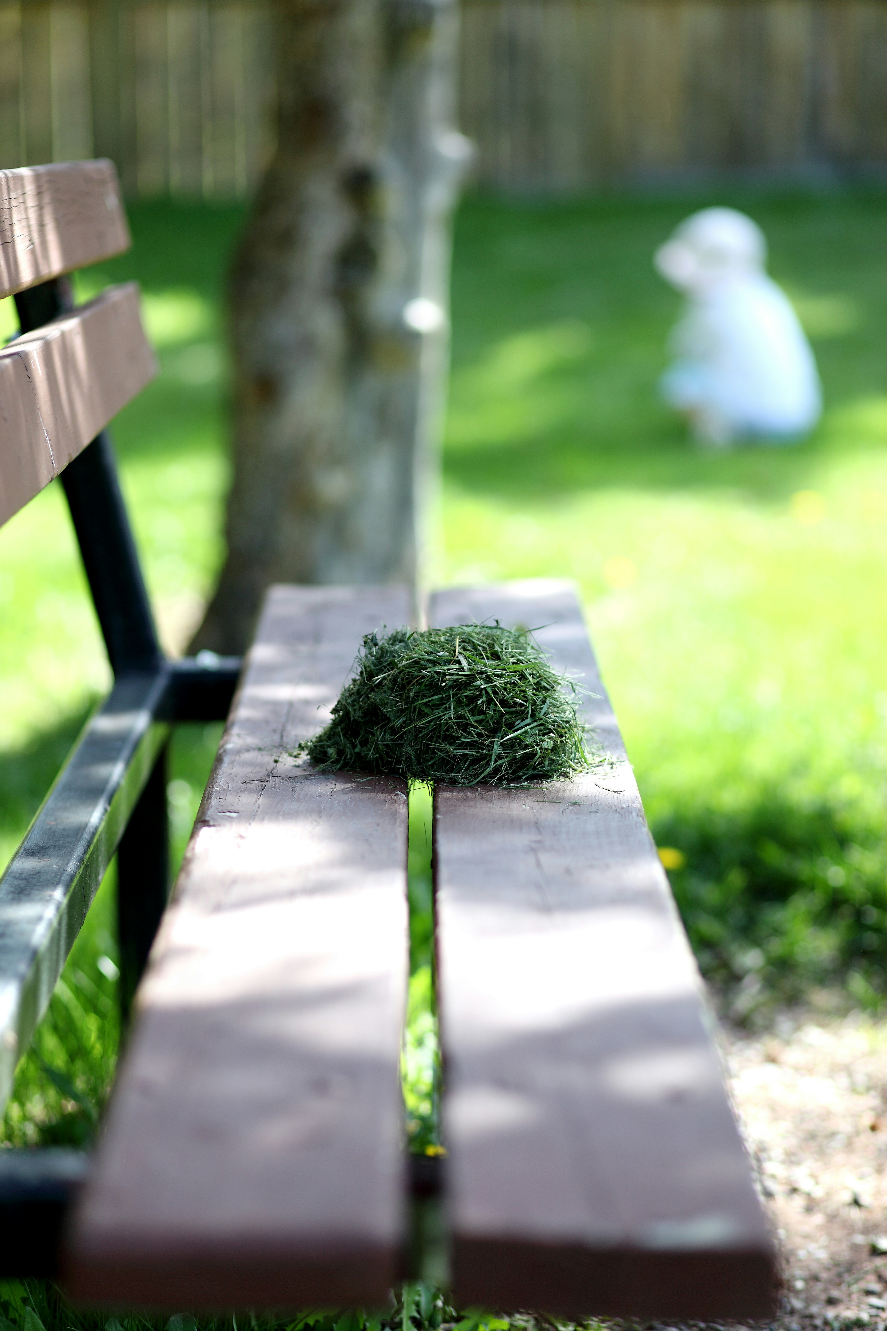 A Pebble of Green in a Quiet Park