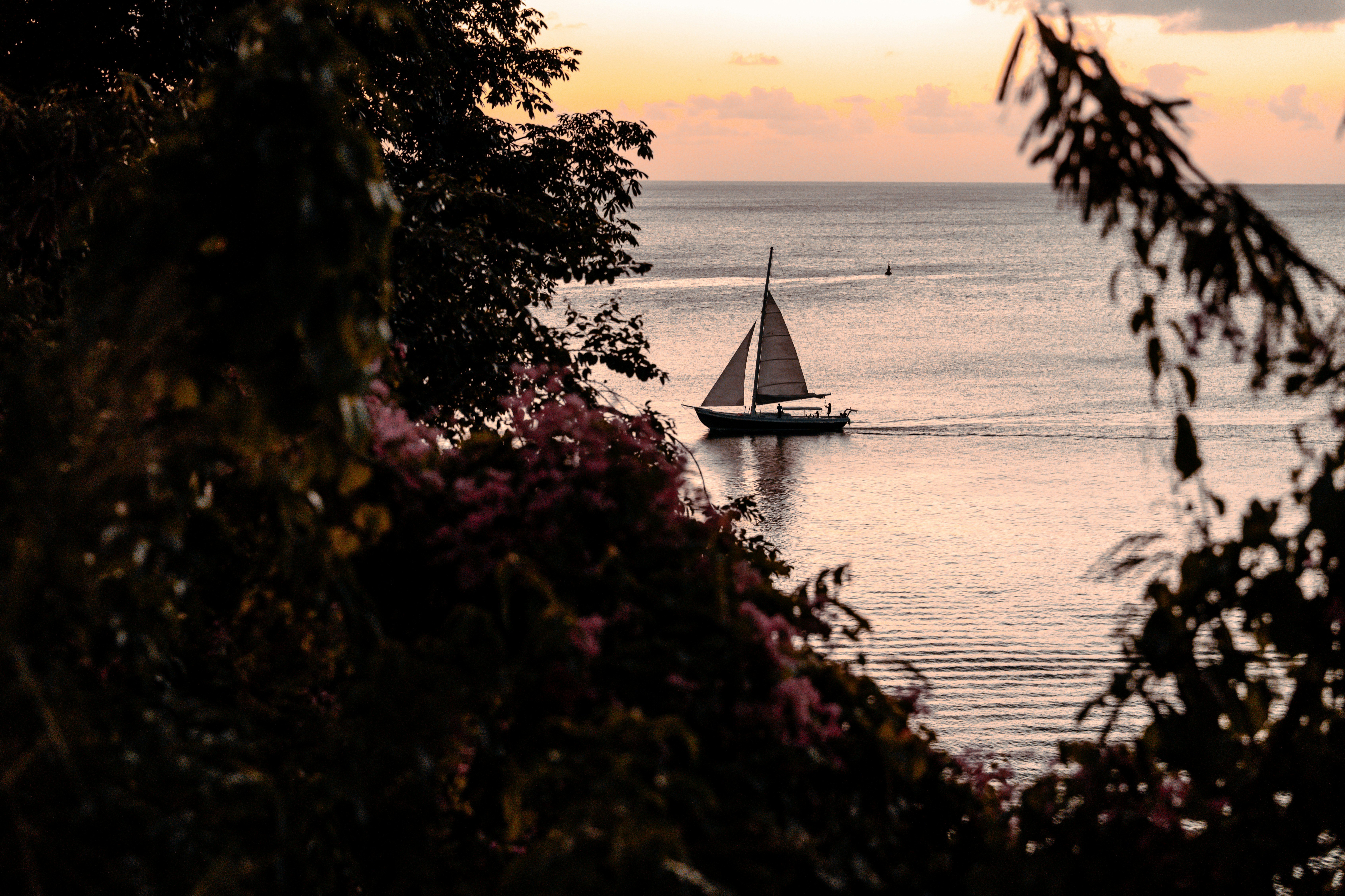Sail in the Quiet Cove
