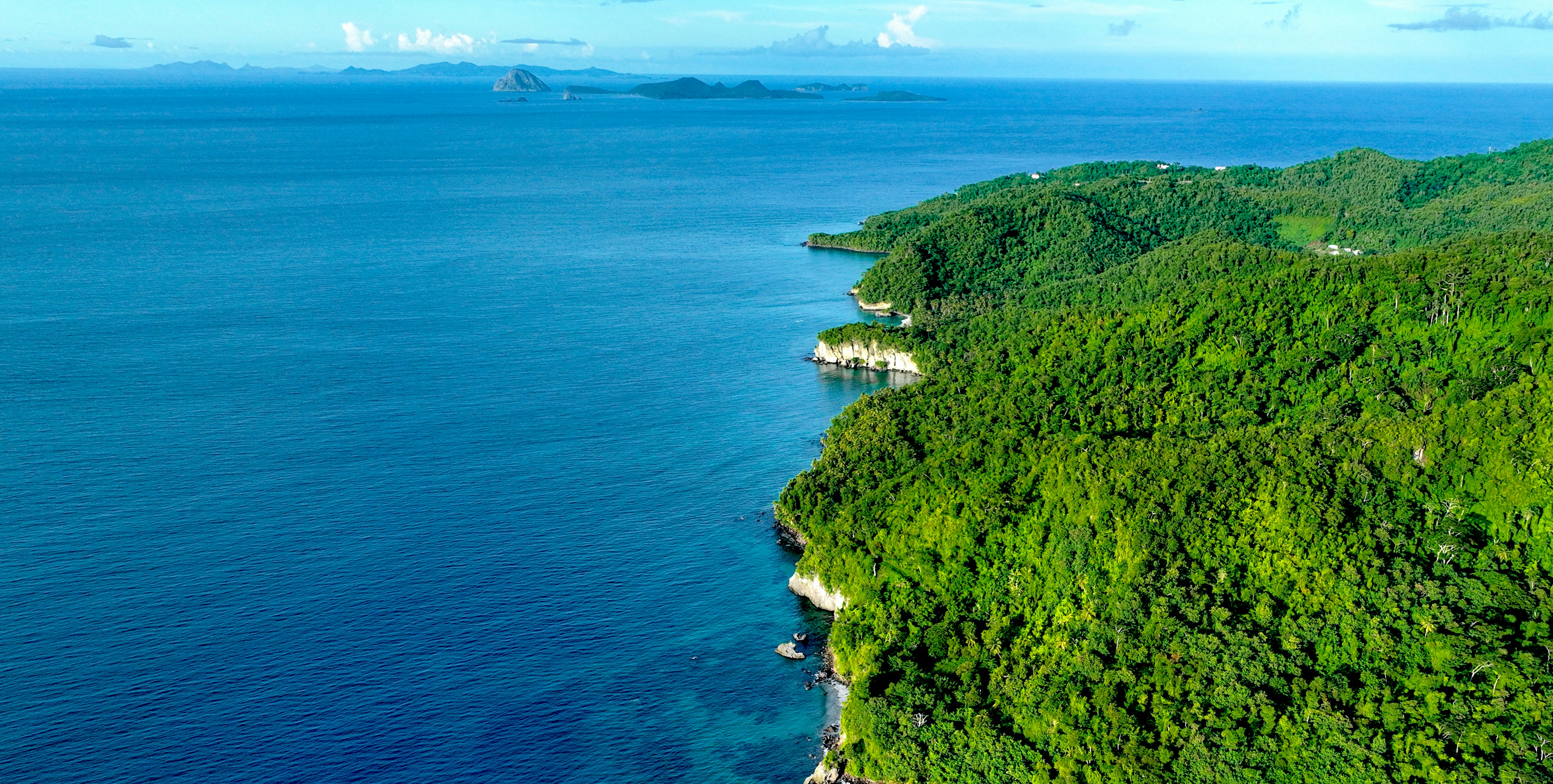 Cliffside canopy over a sapphire sea