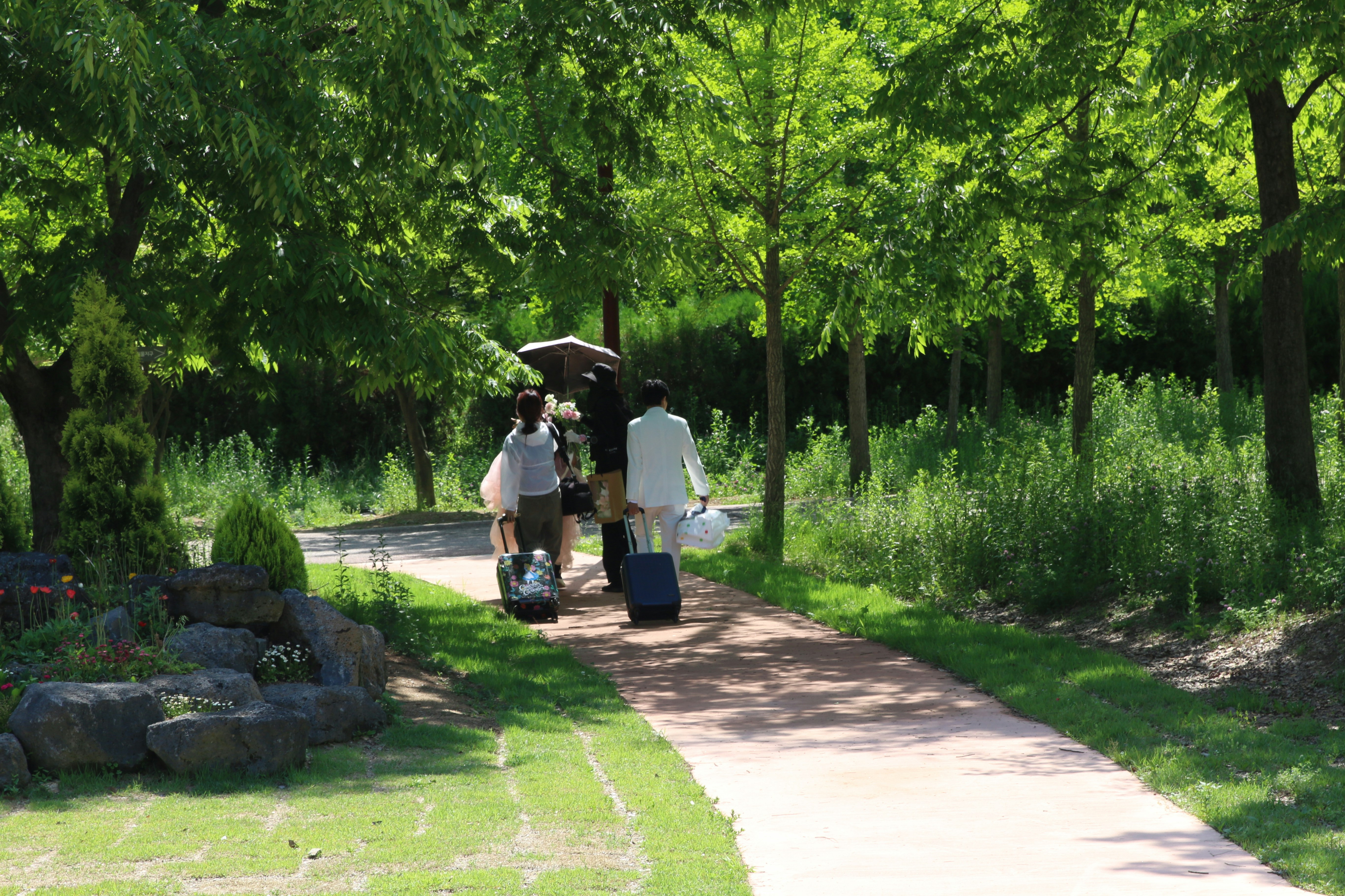 Traveling Through the Green Corridor