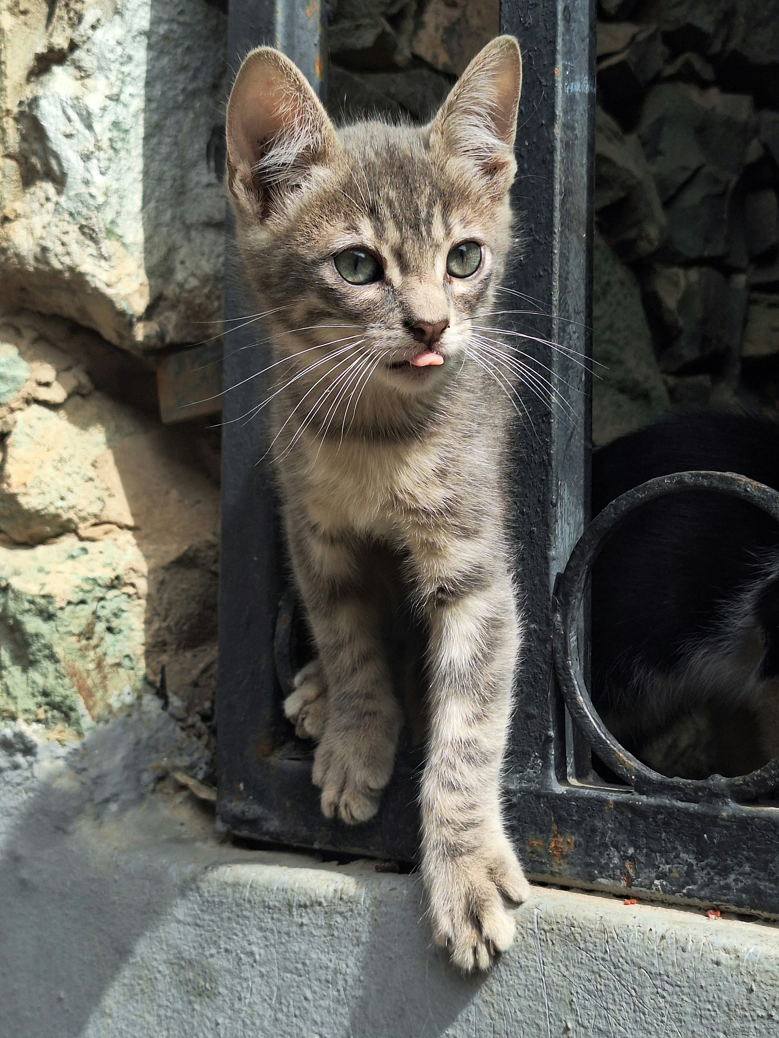 Samsung Galaxy A54 Sample Shots