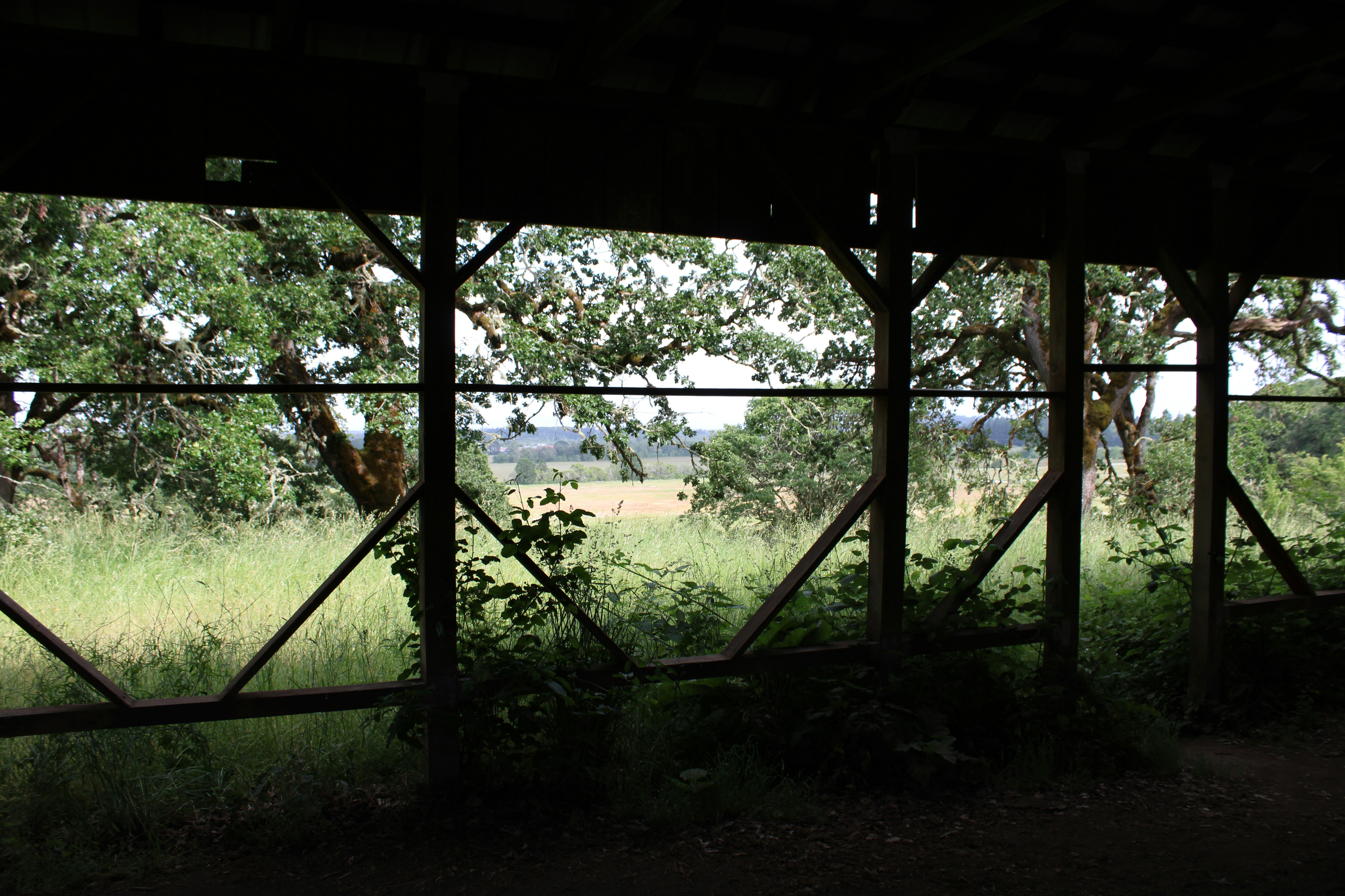 Sunlit Fields Beyond the Wooden Frame