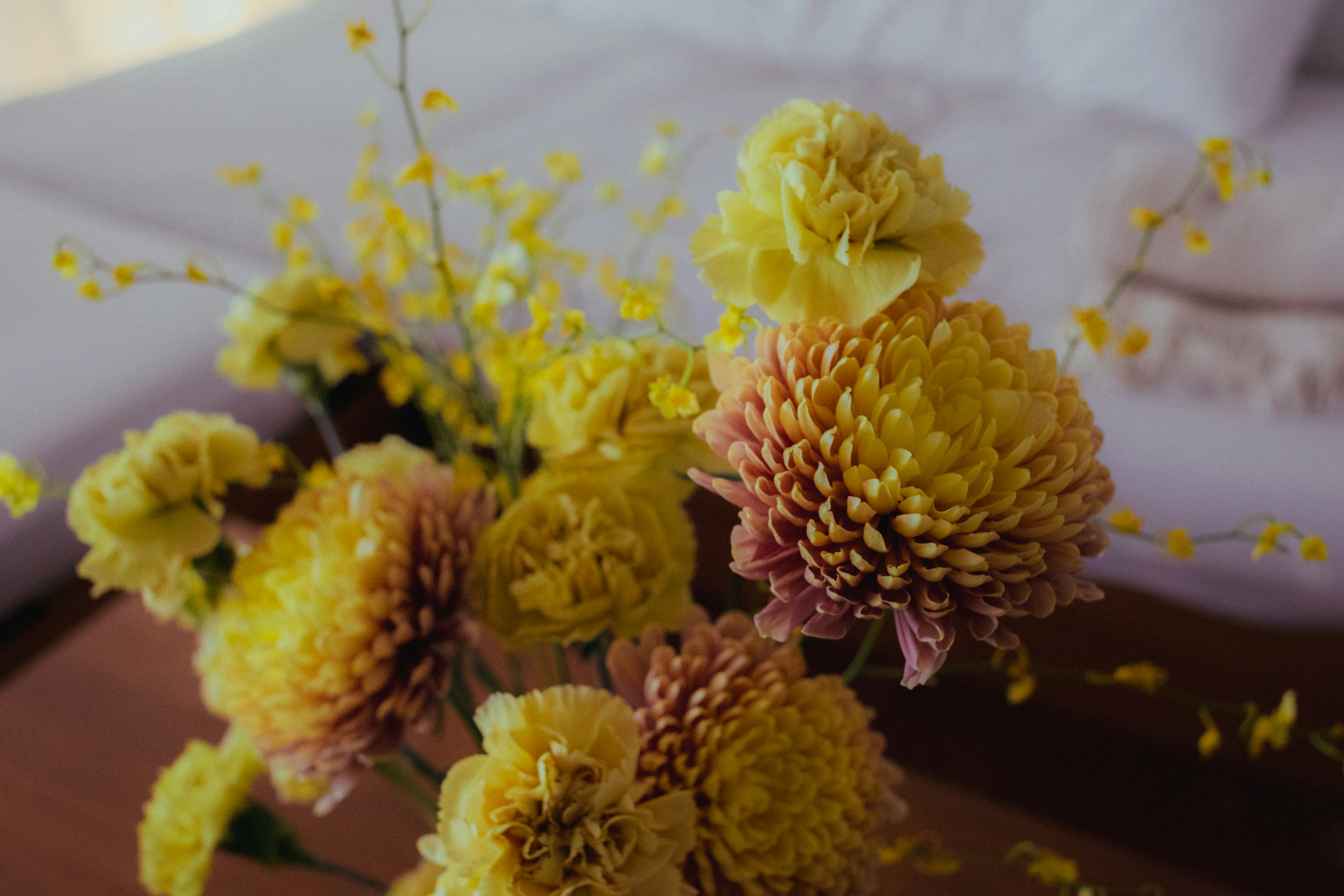 Sunlit Chrysanthemums: A Warm Burst of Yellow Petals