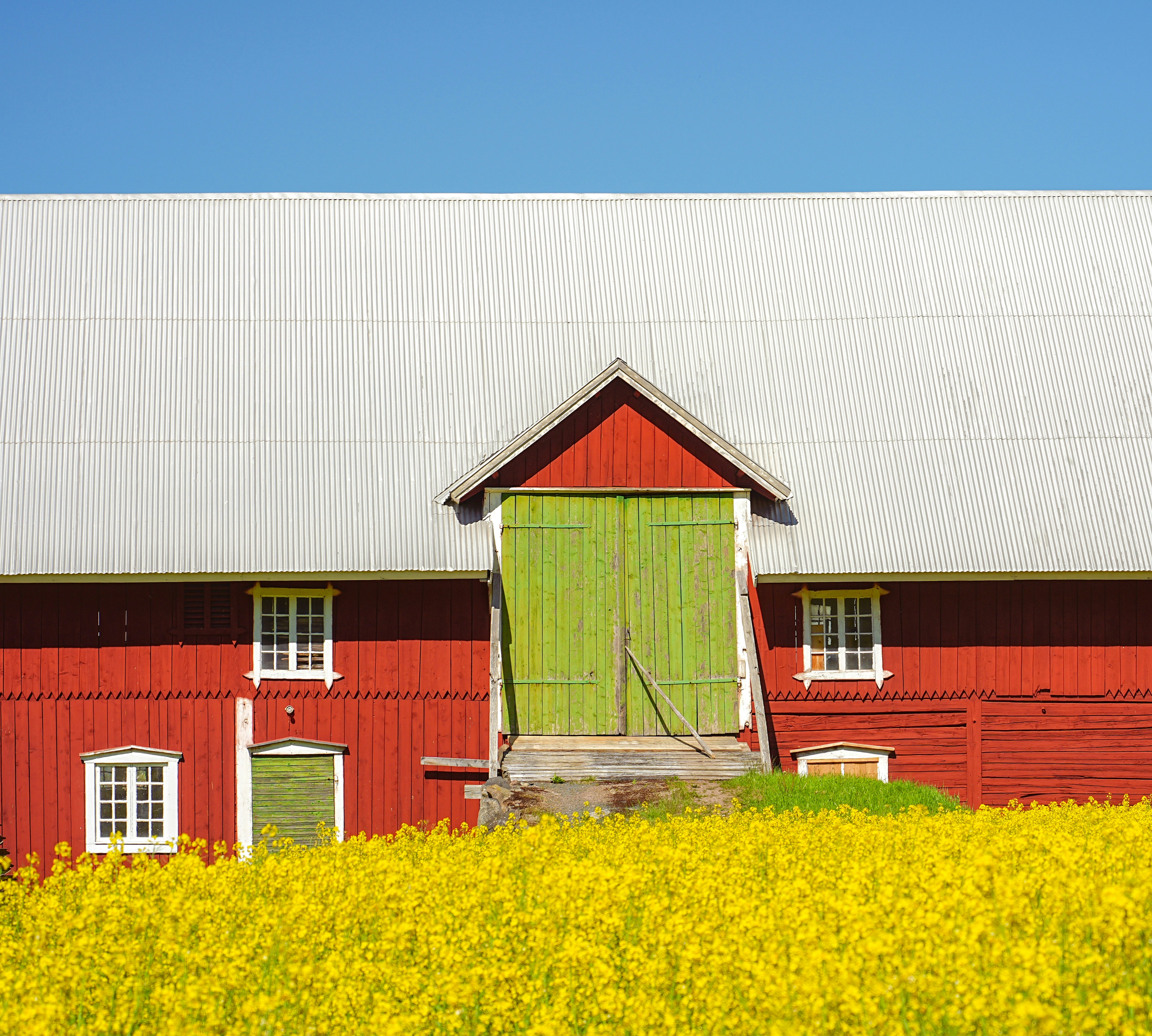 Green Barn Door Centerpiece Overlooking a Golden Canola Field