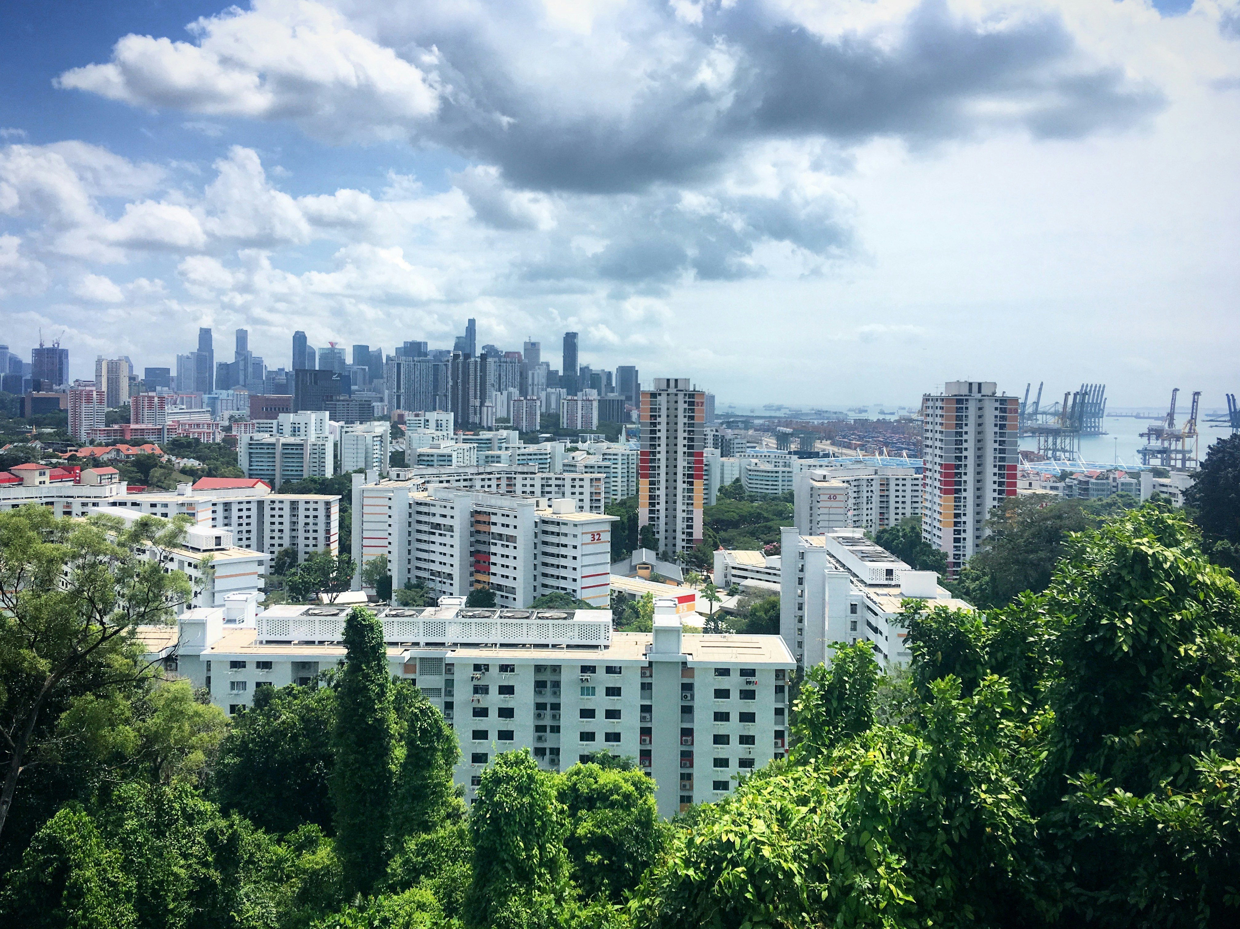 Sunlit Cityscape: High-Rloor View Over a Verdant Urban Crest