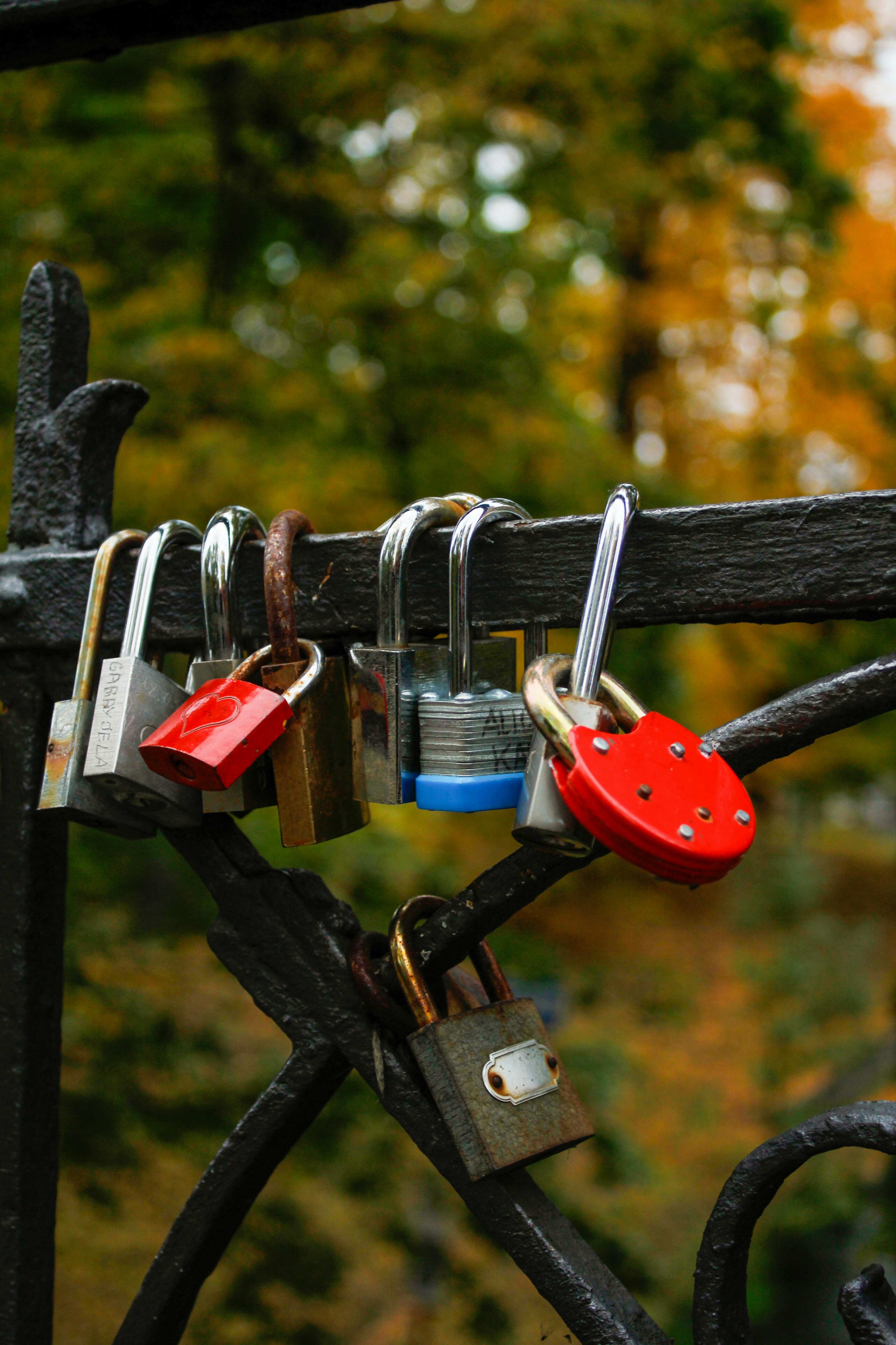 Locks on the Iron Veil: Autumn Winds in the Park
