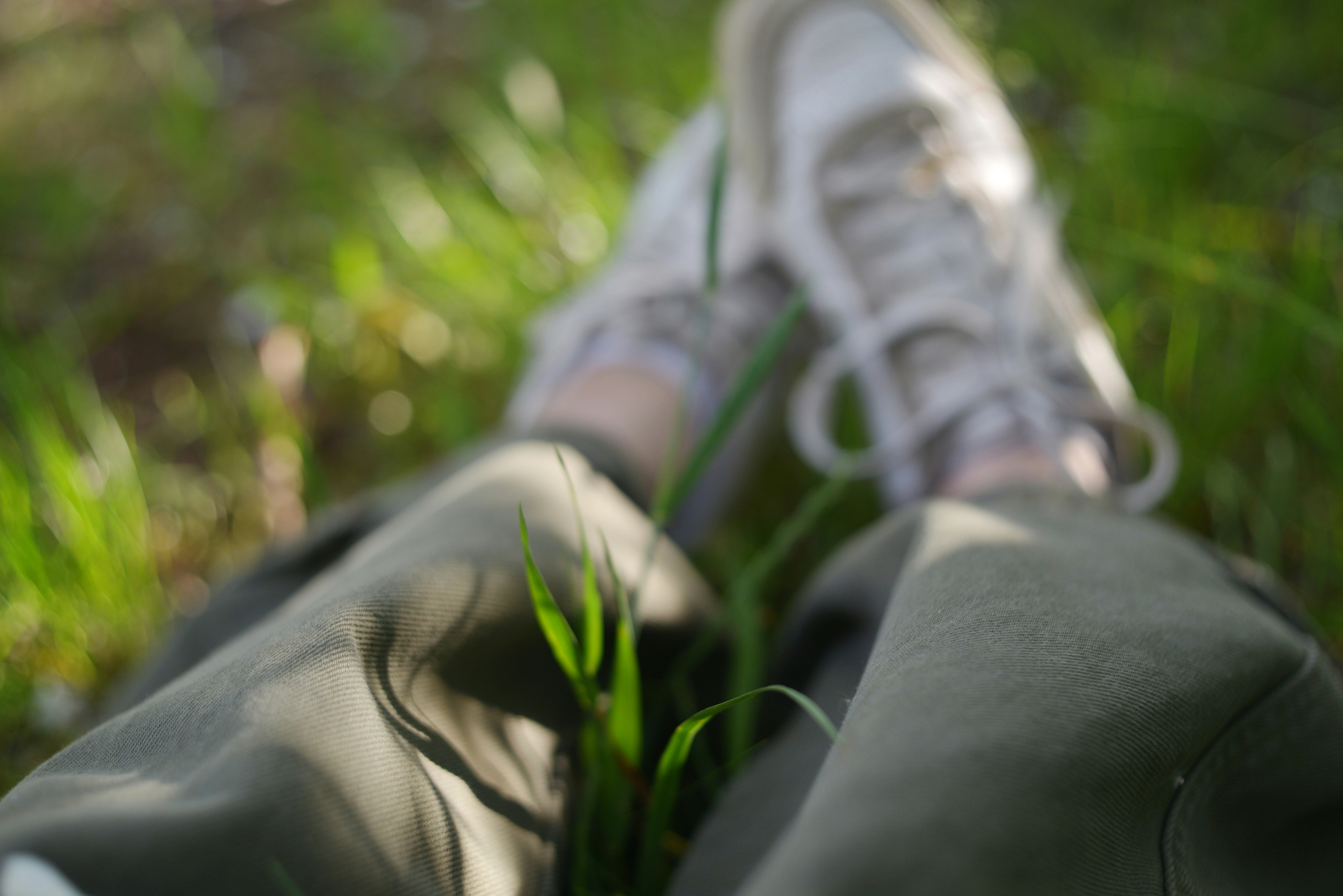 Feet in the Grass: A Ground-Level Pause in Sunlit Field