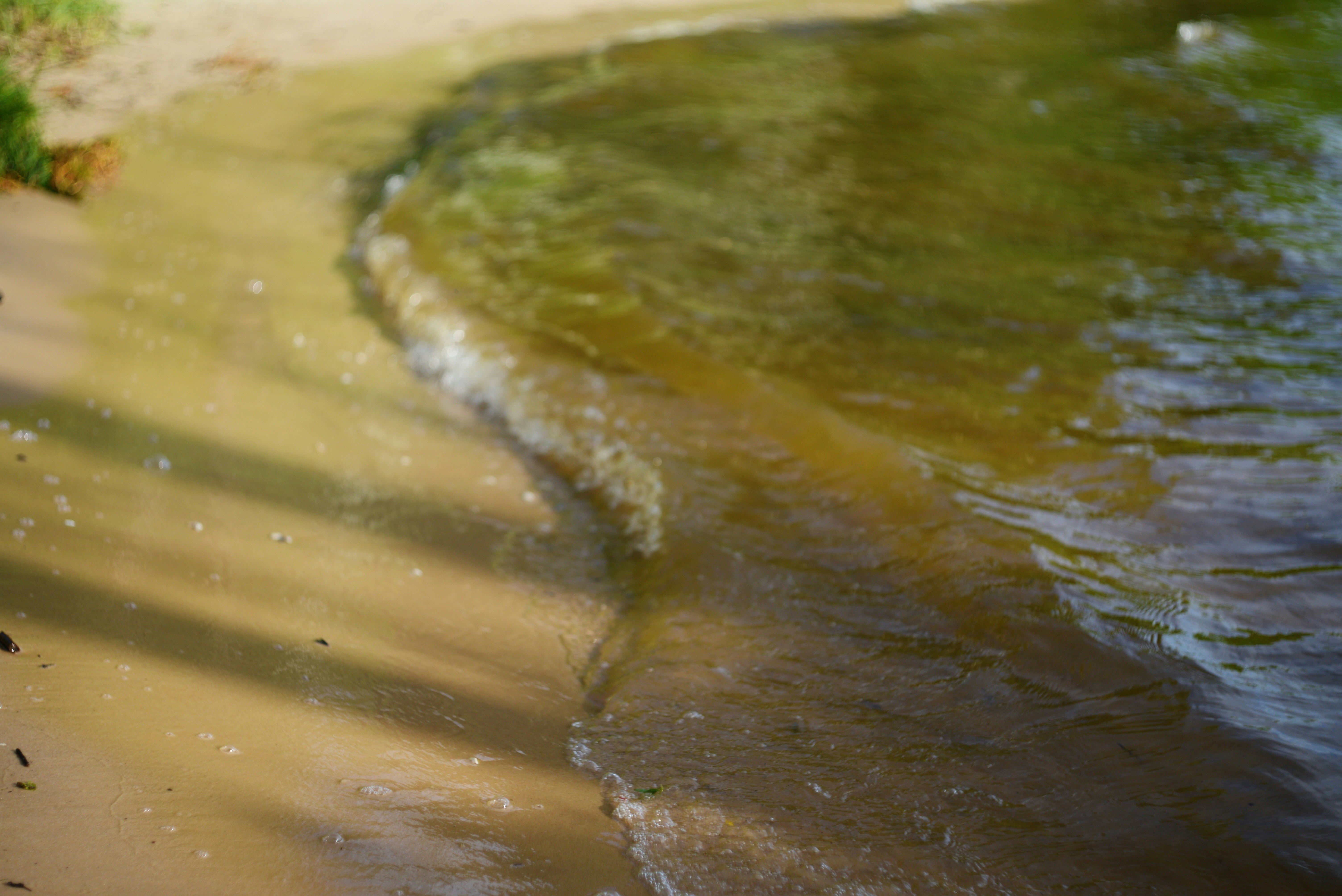 Sunlit Shoreline Weave: Quiet Waves and Shadowed Sand