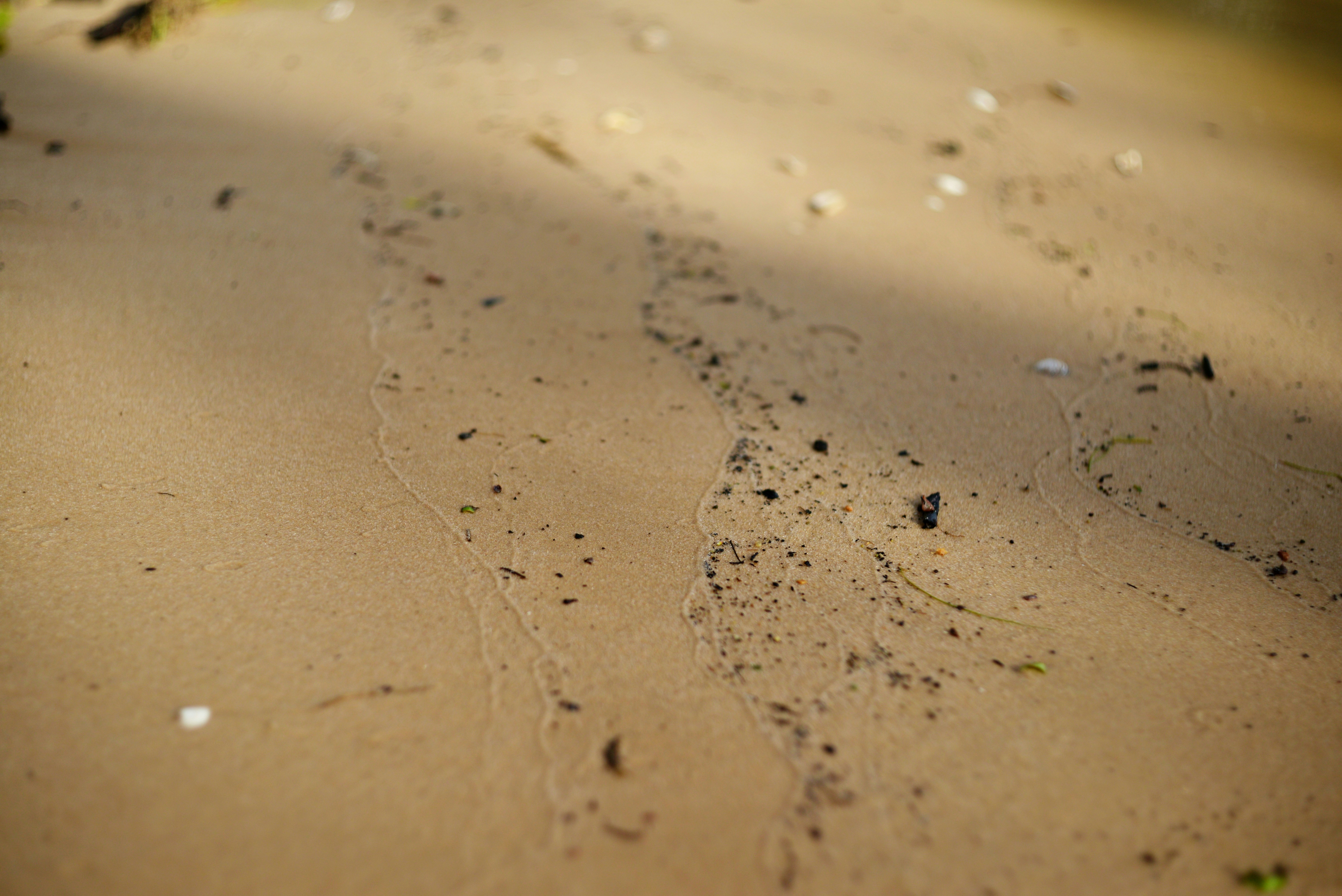 Pebble Trail in Sunlit Sand