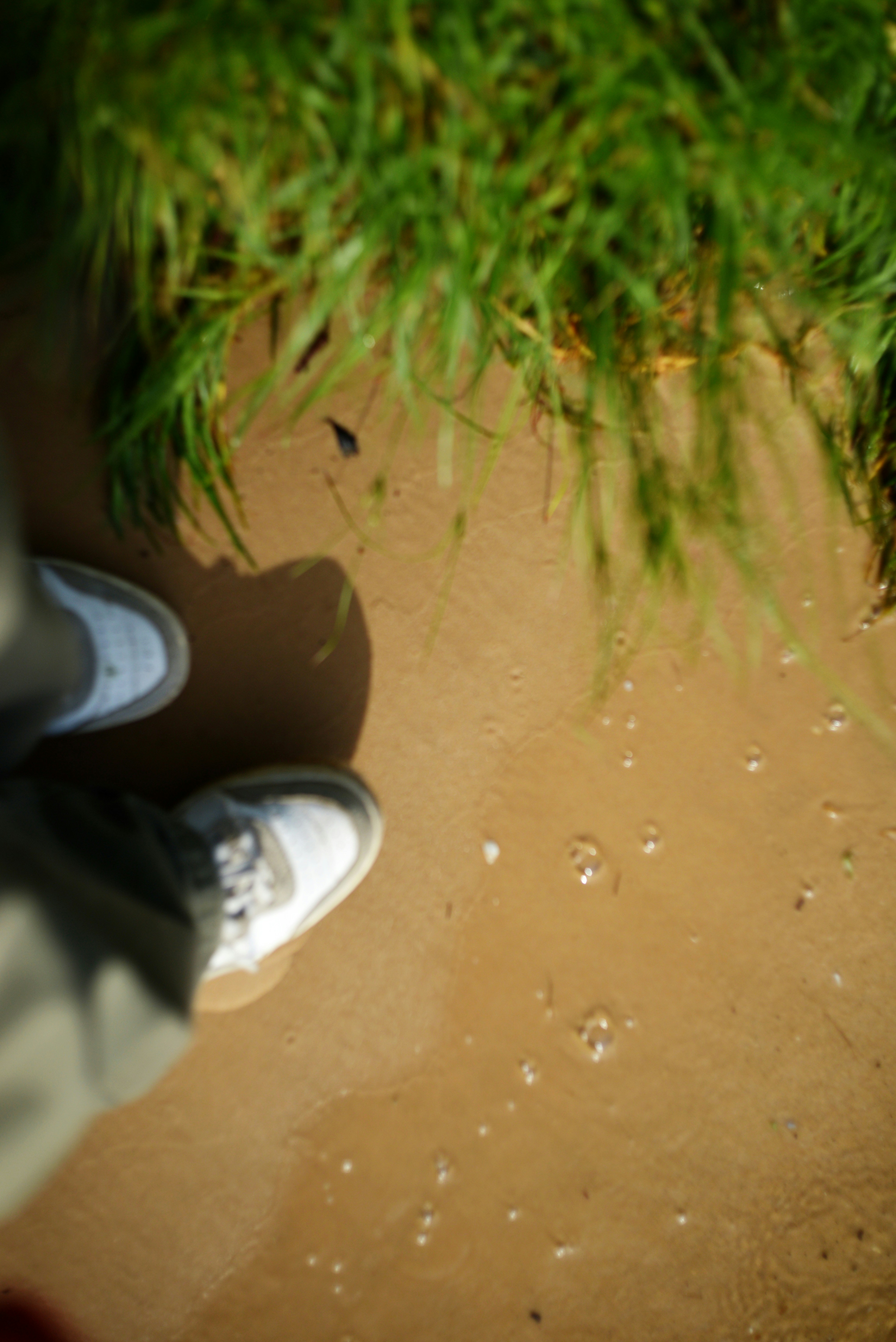 Ground-Level Walk: An Off-Center Perspective of Footwear and Grass