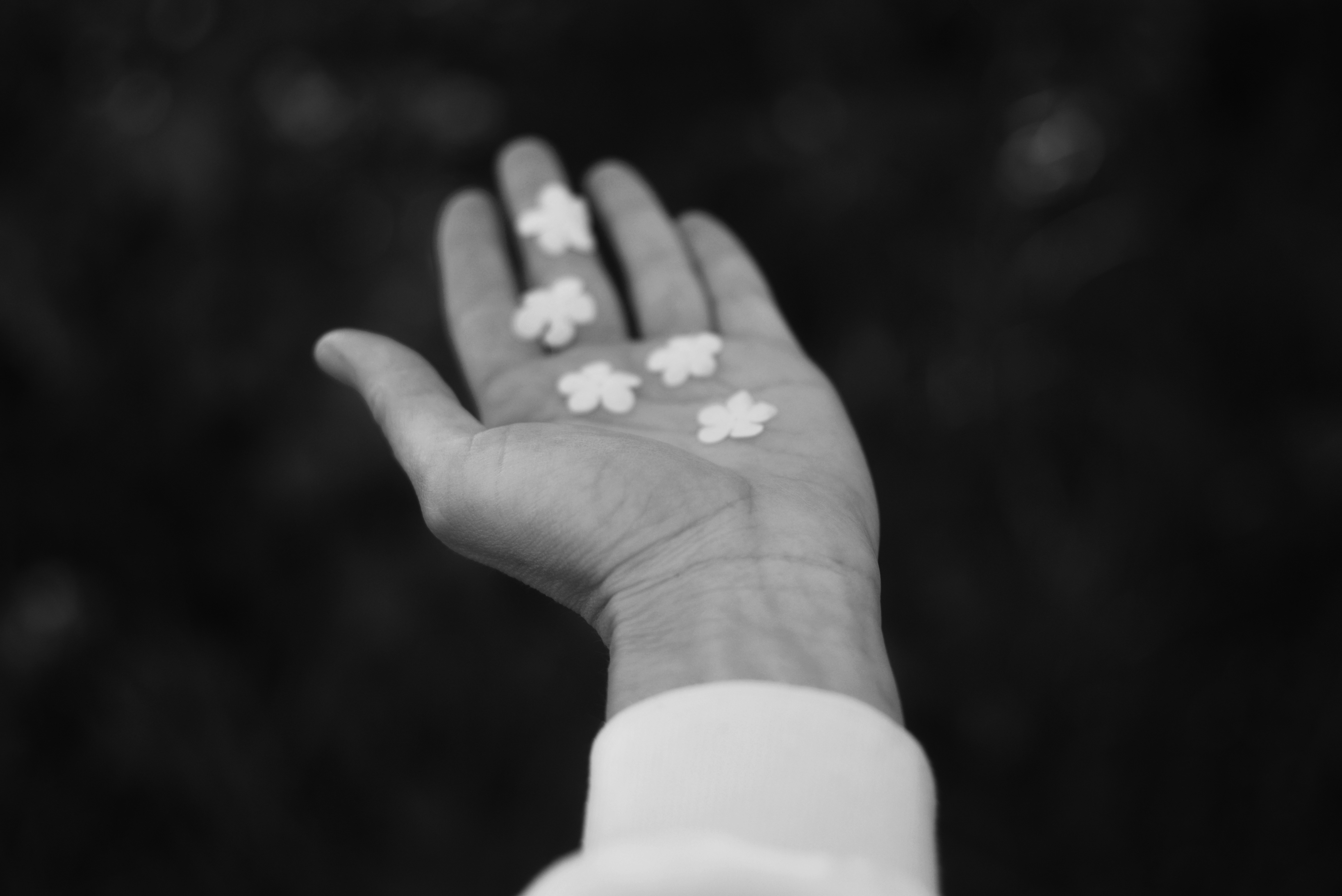 Soft-released Bloom: A Handful of Tiny Flowers