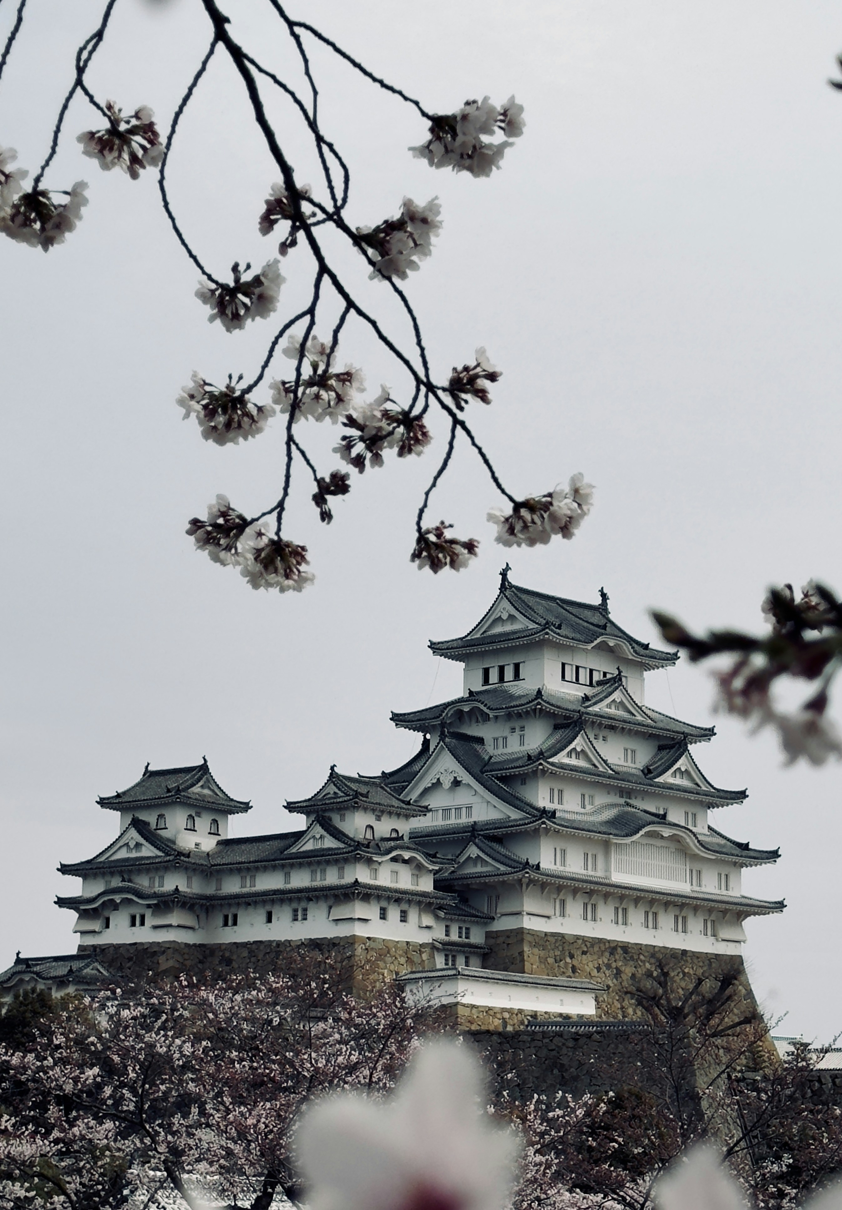 Japan | Himeji