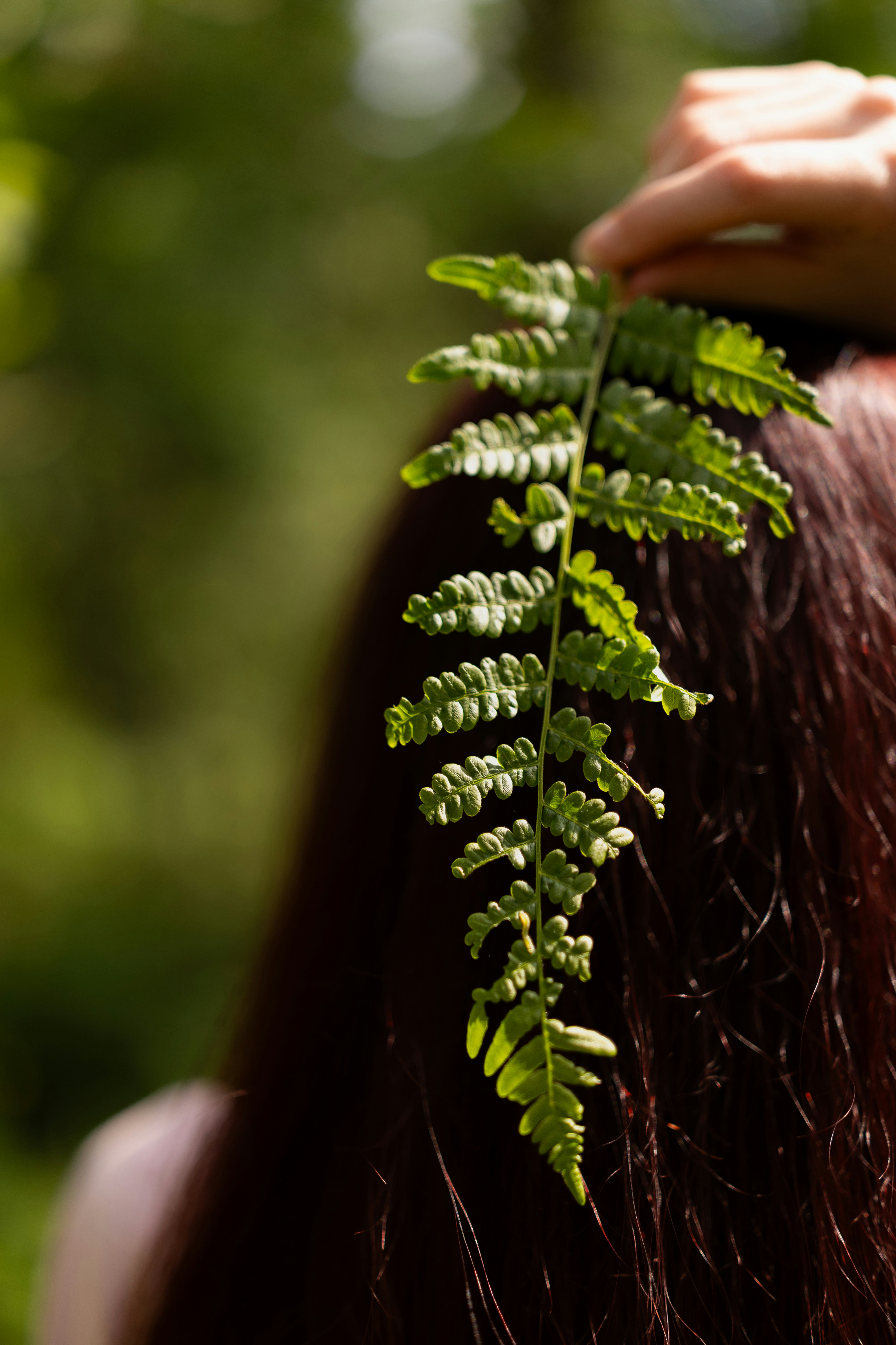 Fern Veil on Dark Hair: A Portrait in Soft Focus