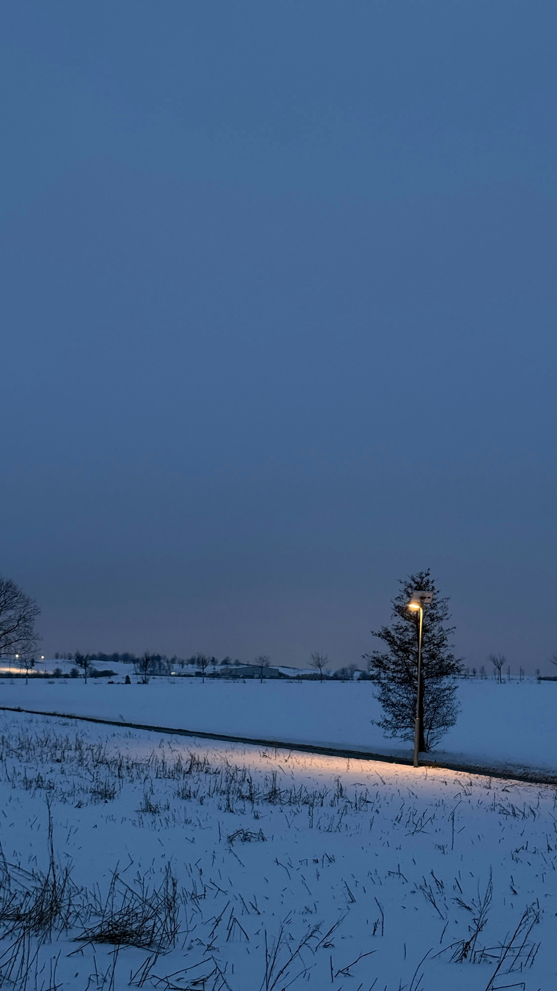 Winter Roadside Glow: A Snowlit Lamp in Quiet Evening Field