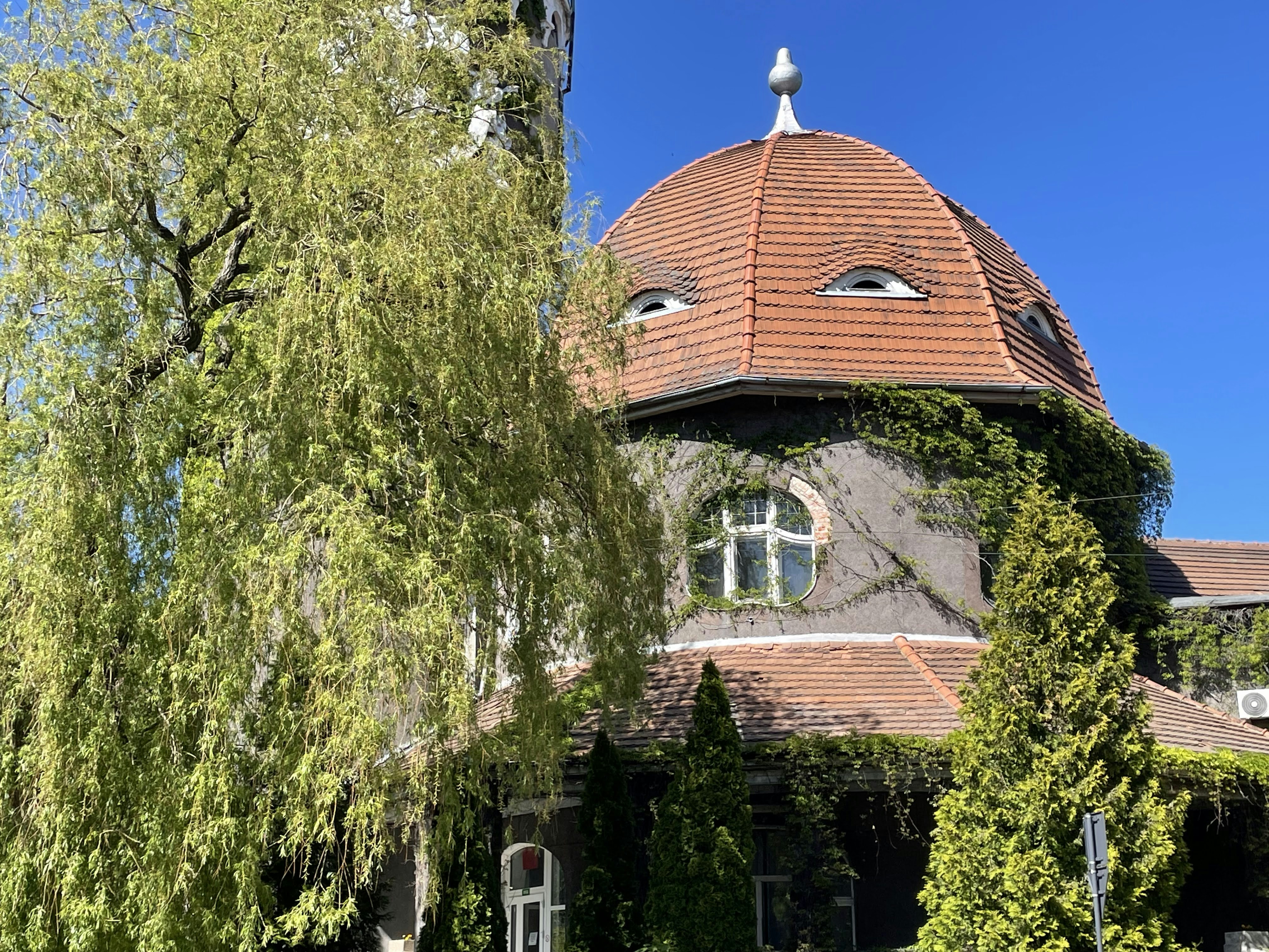 Dome and Ivy: A Green Vein on a Red-Tiled Visage
