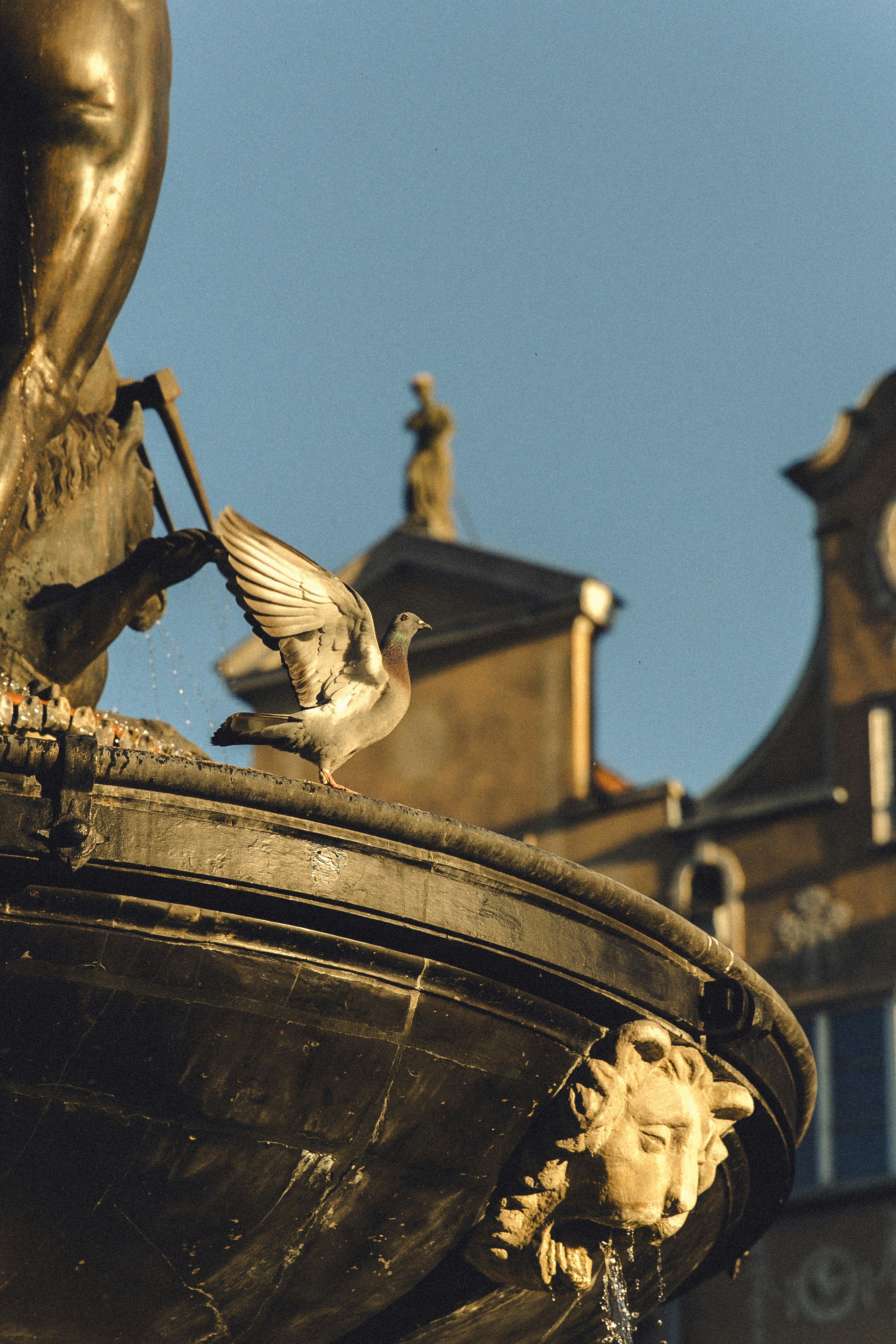 Winged Moment on the Fountain: A Dove in Flight over Stone Carvings