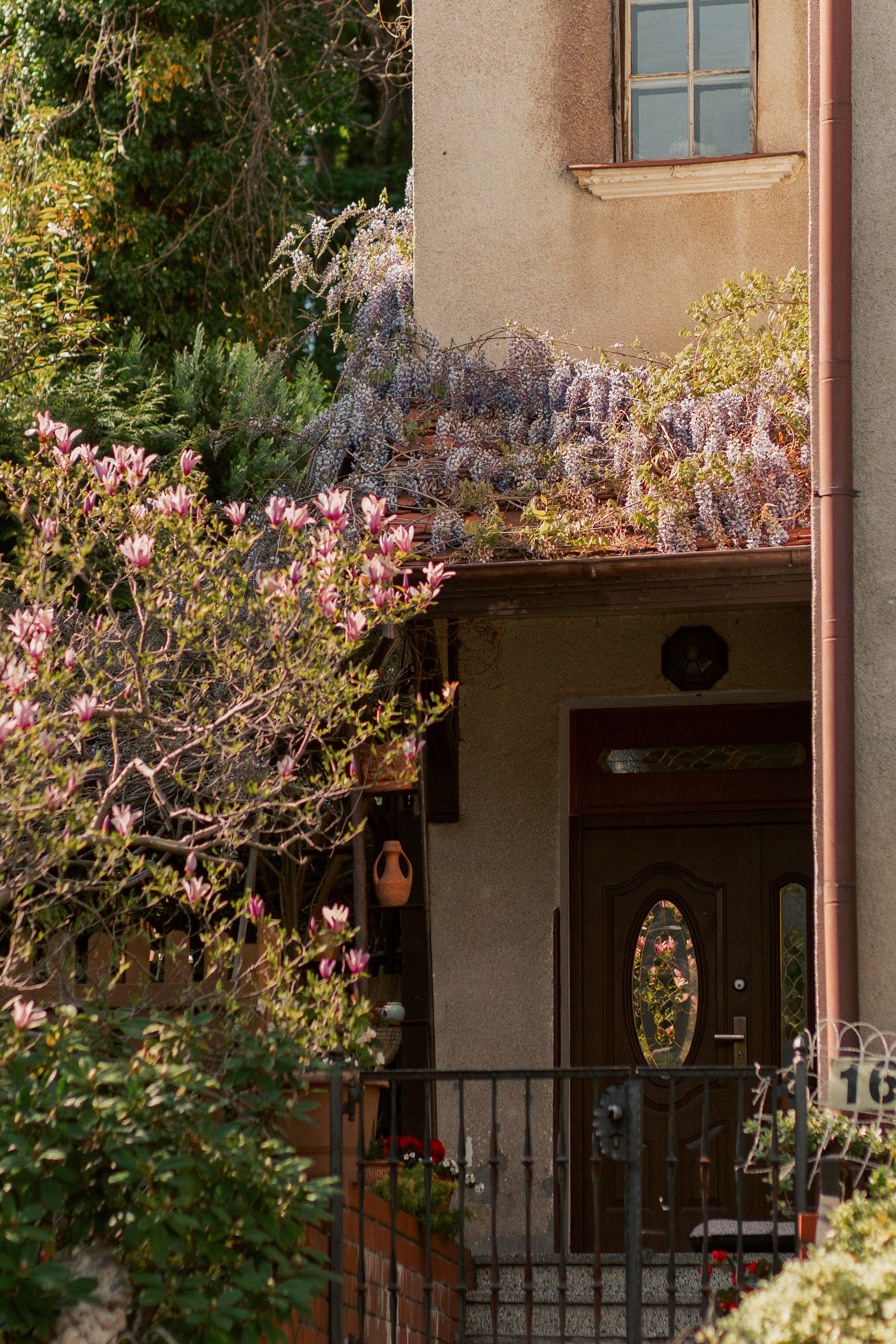 Quiet Entrance Framed by Wisteria and Magnolia in Spring Light