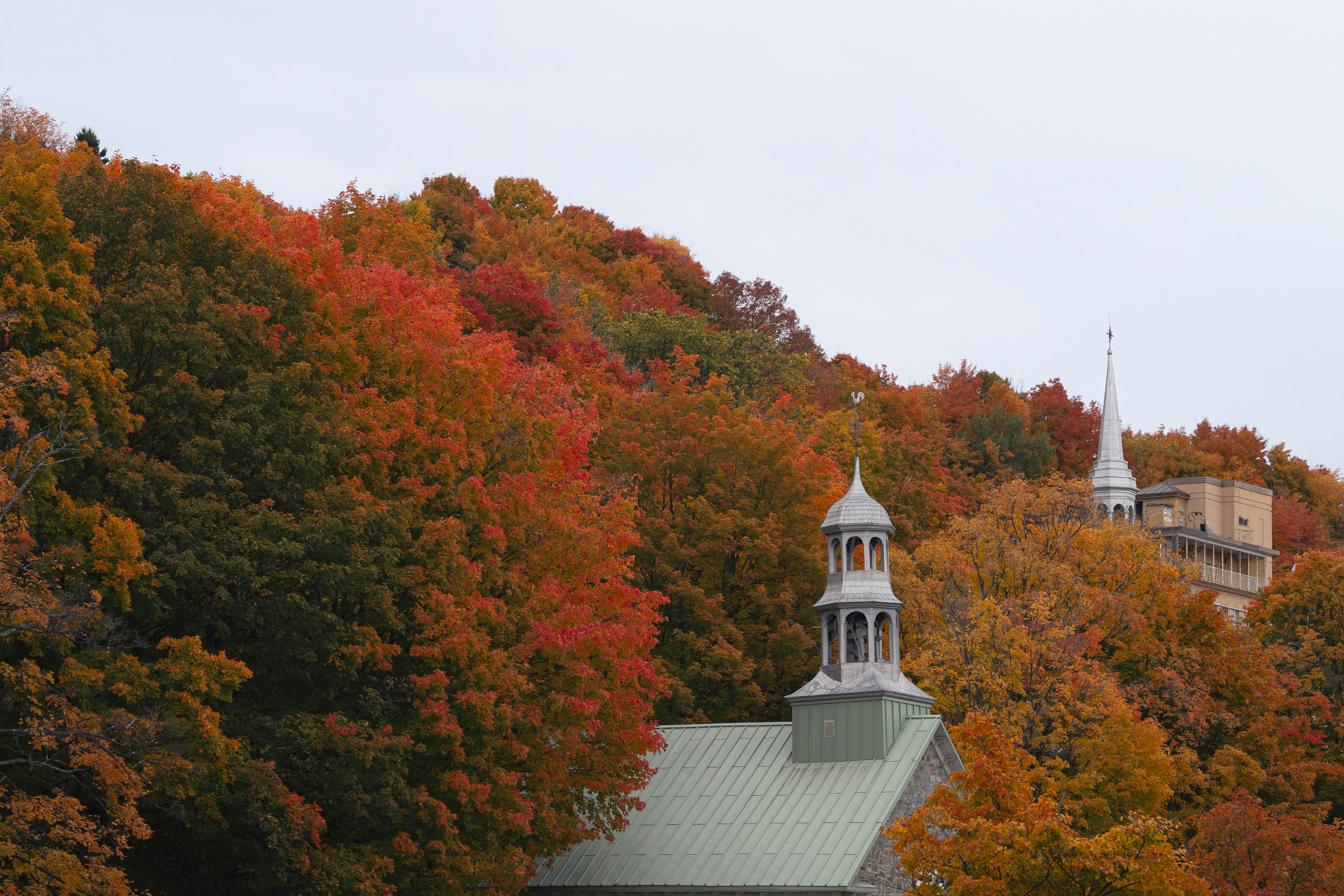 Autumn Tapestry Over the Rooftops