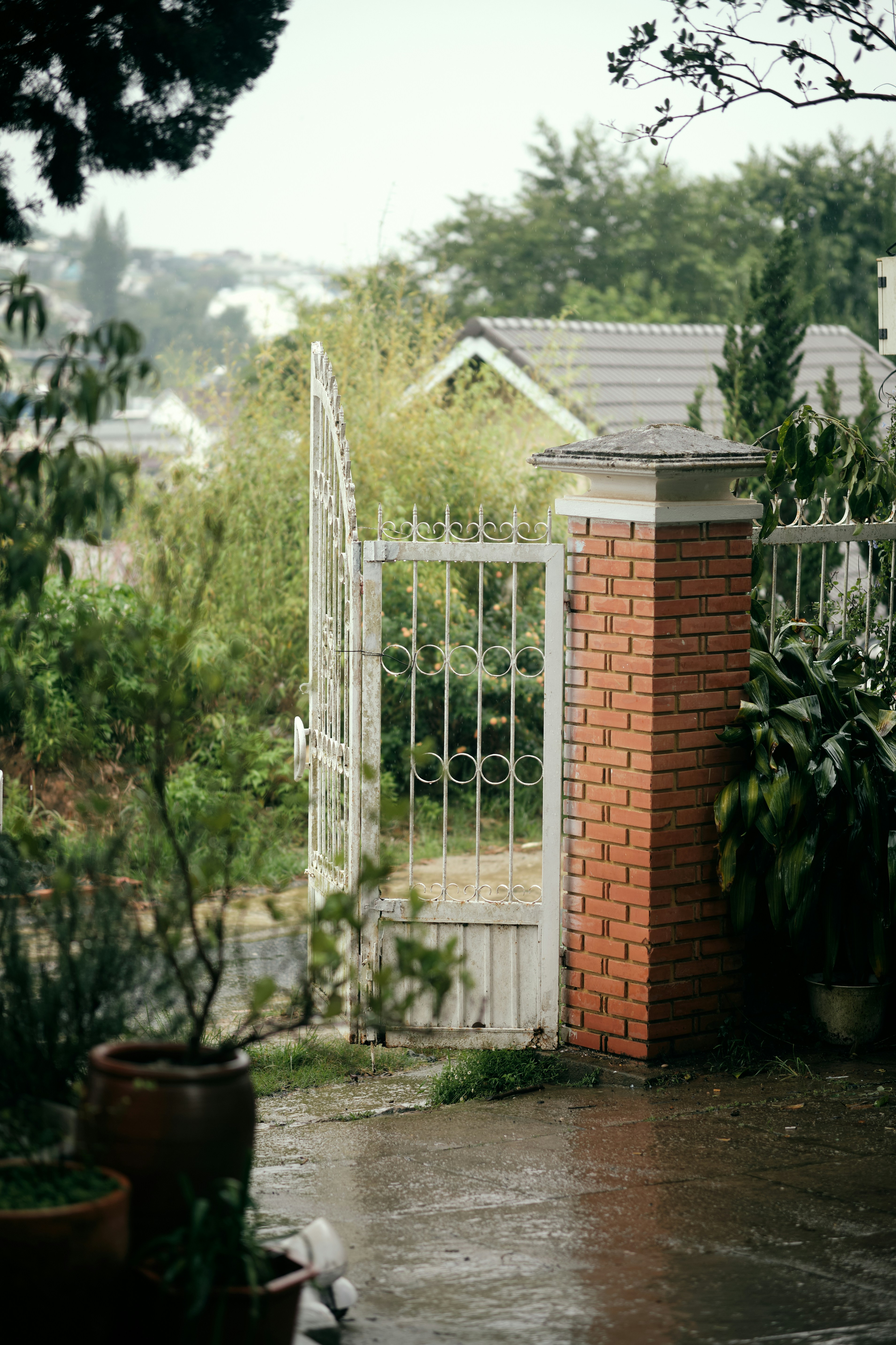 Open Gate to a Quiet Garden