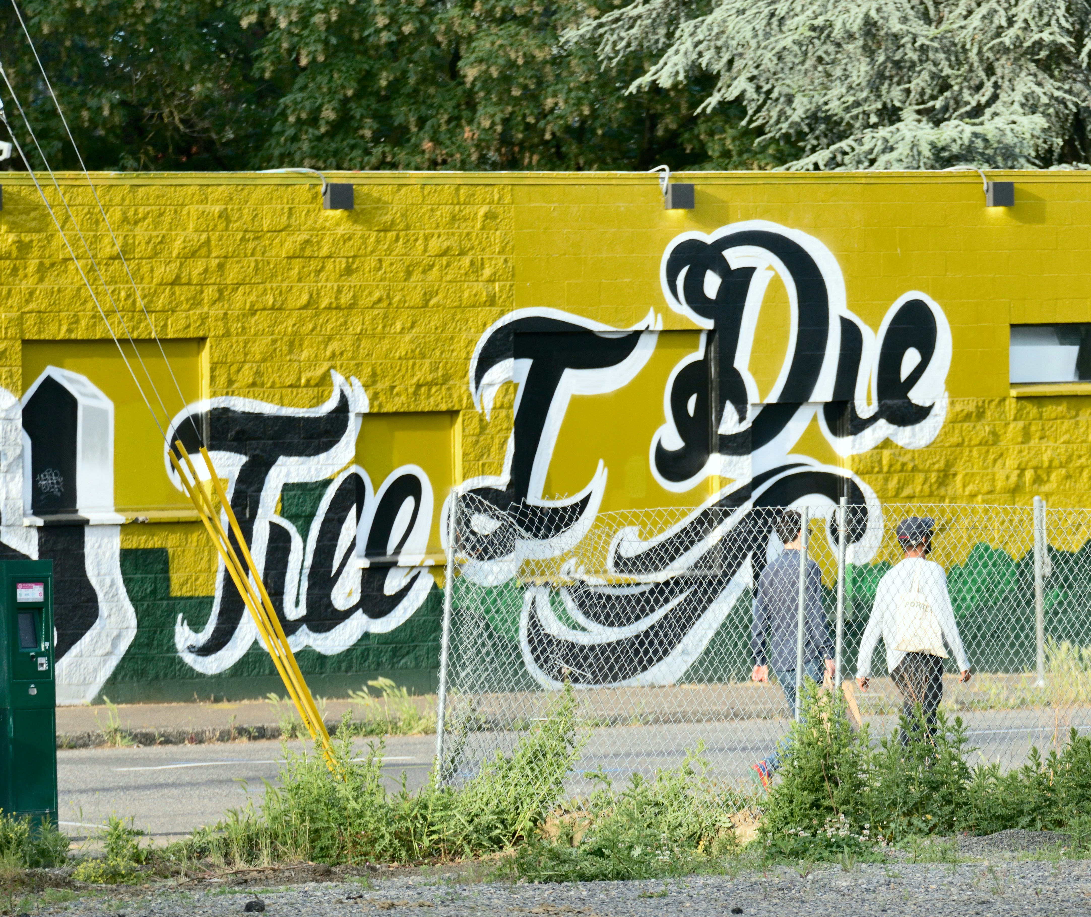 Graffiti Wall Portrait: The Scripted Yellow Backdrop Meets a Quiet Street