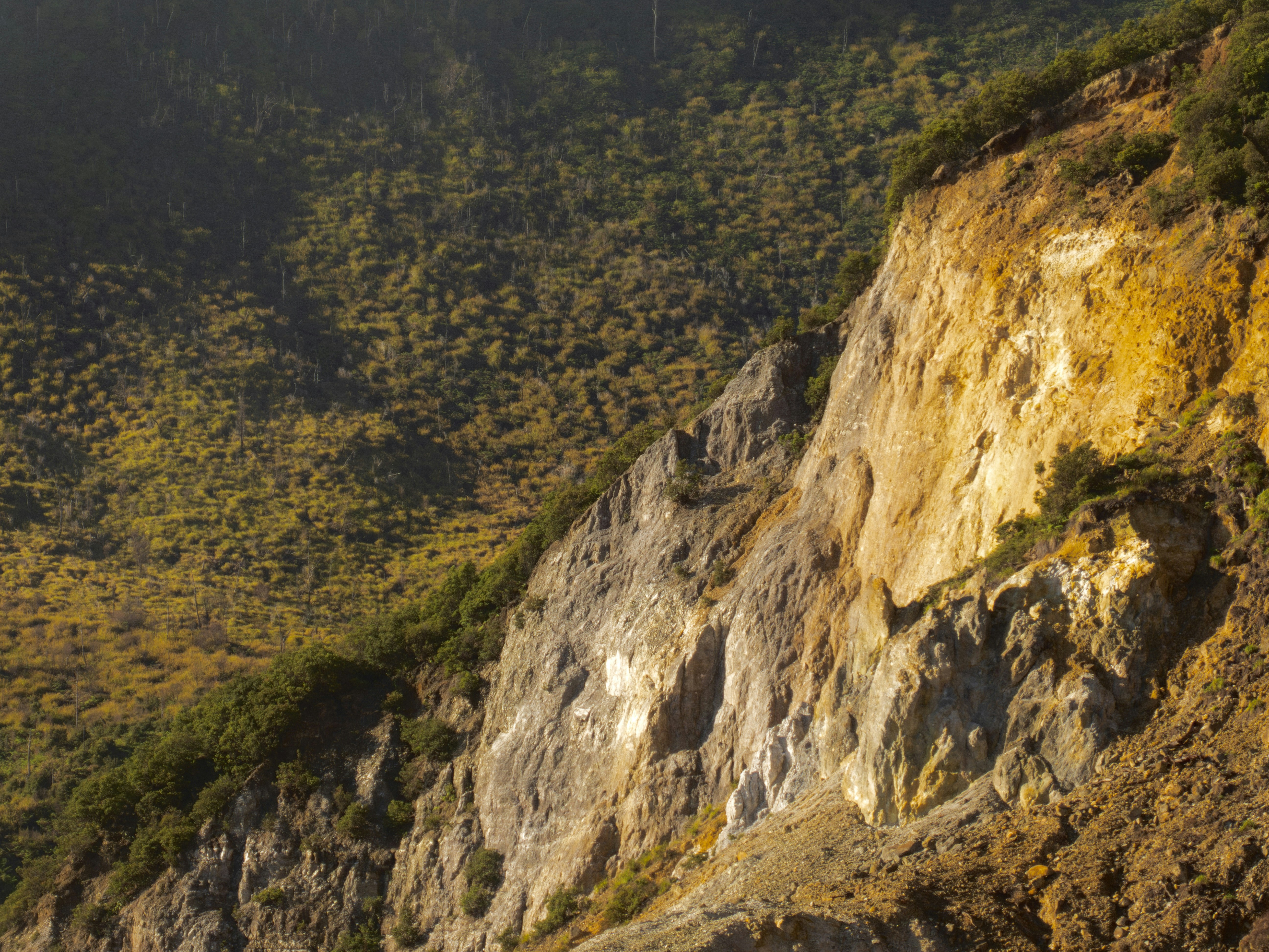 Golden Cliff Drift: Sunlit Rock Faces and Forest Edge