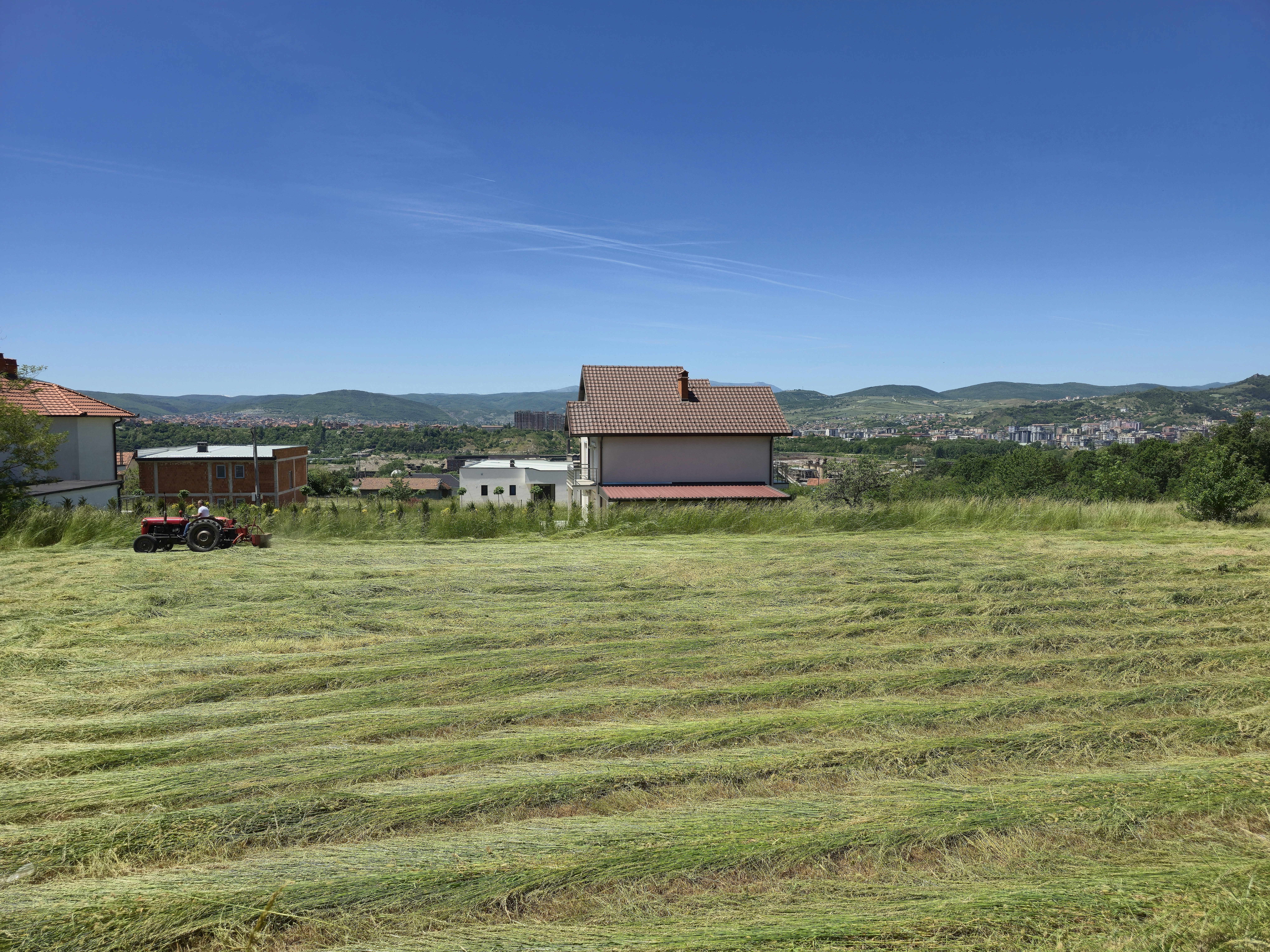 Sunlit Terrace: A Row of Newly Cut Hay Under Blue Skies