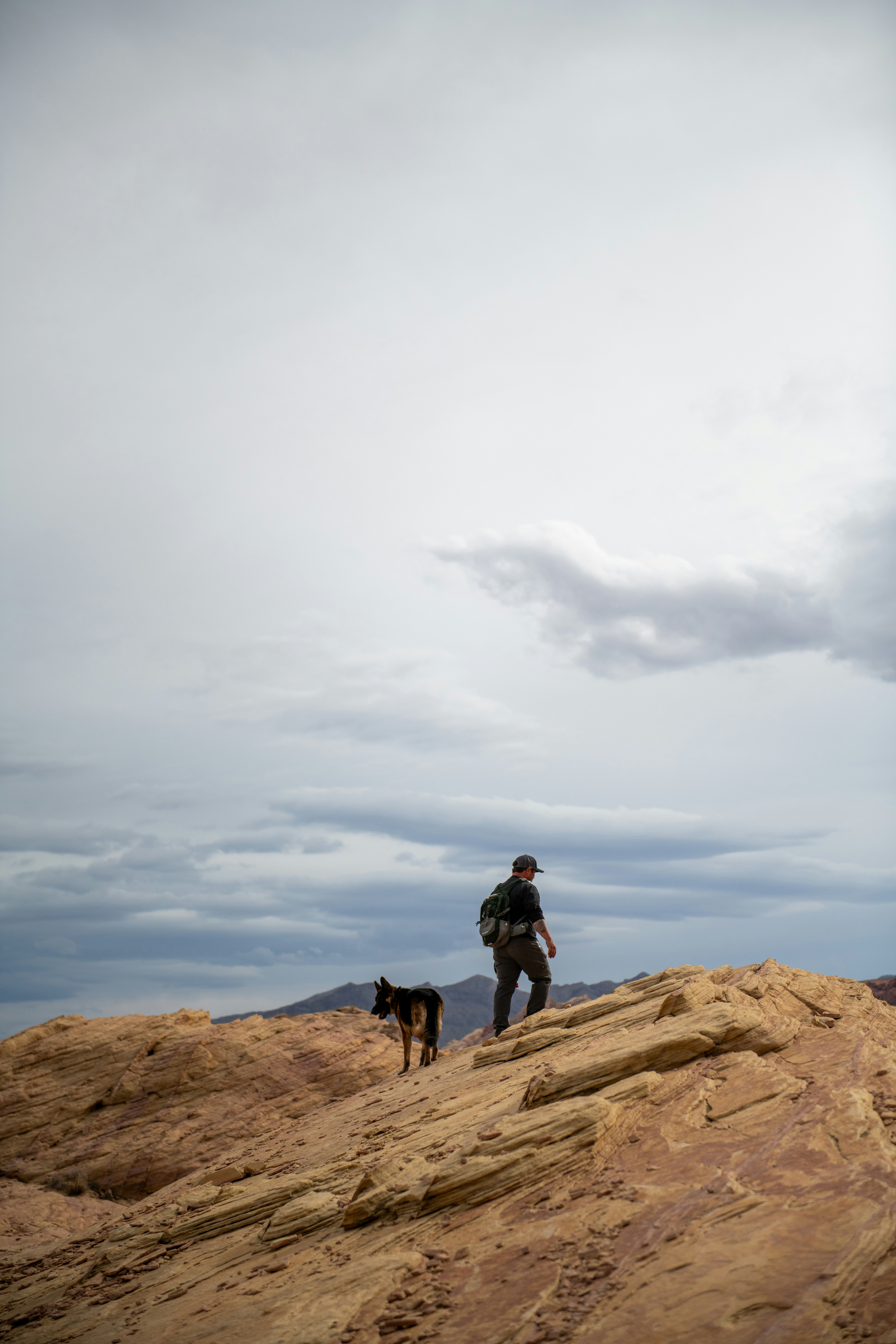 Trail Boss and Canine Guide Over Rusty Canyon Rim