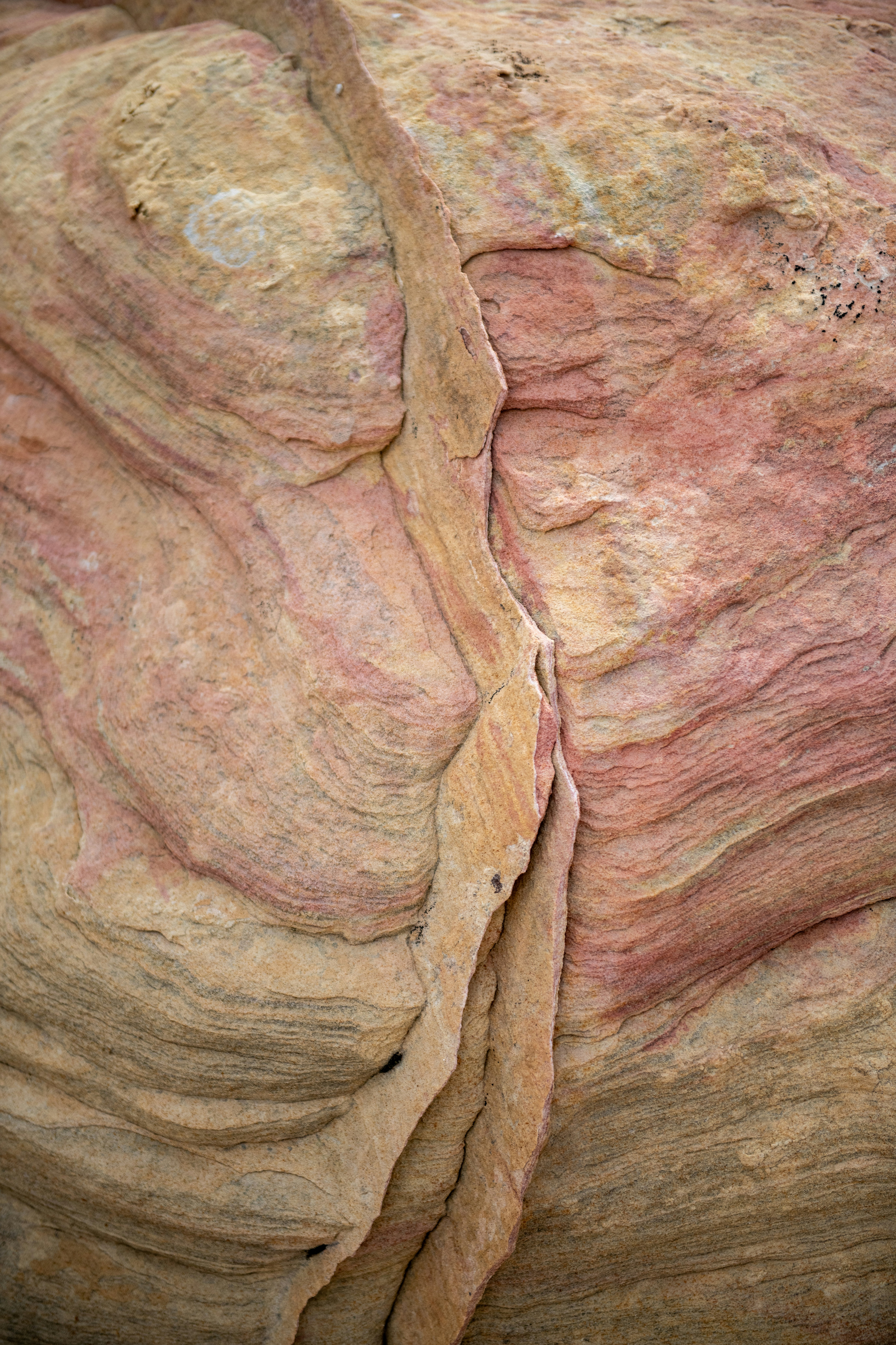 Strata of color and crack: the wind-carved canyon seam