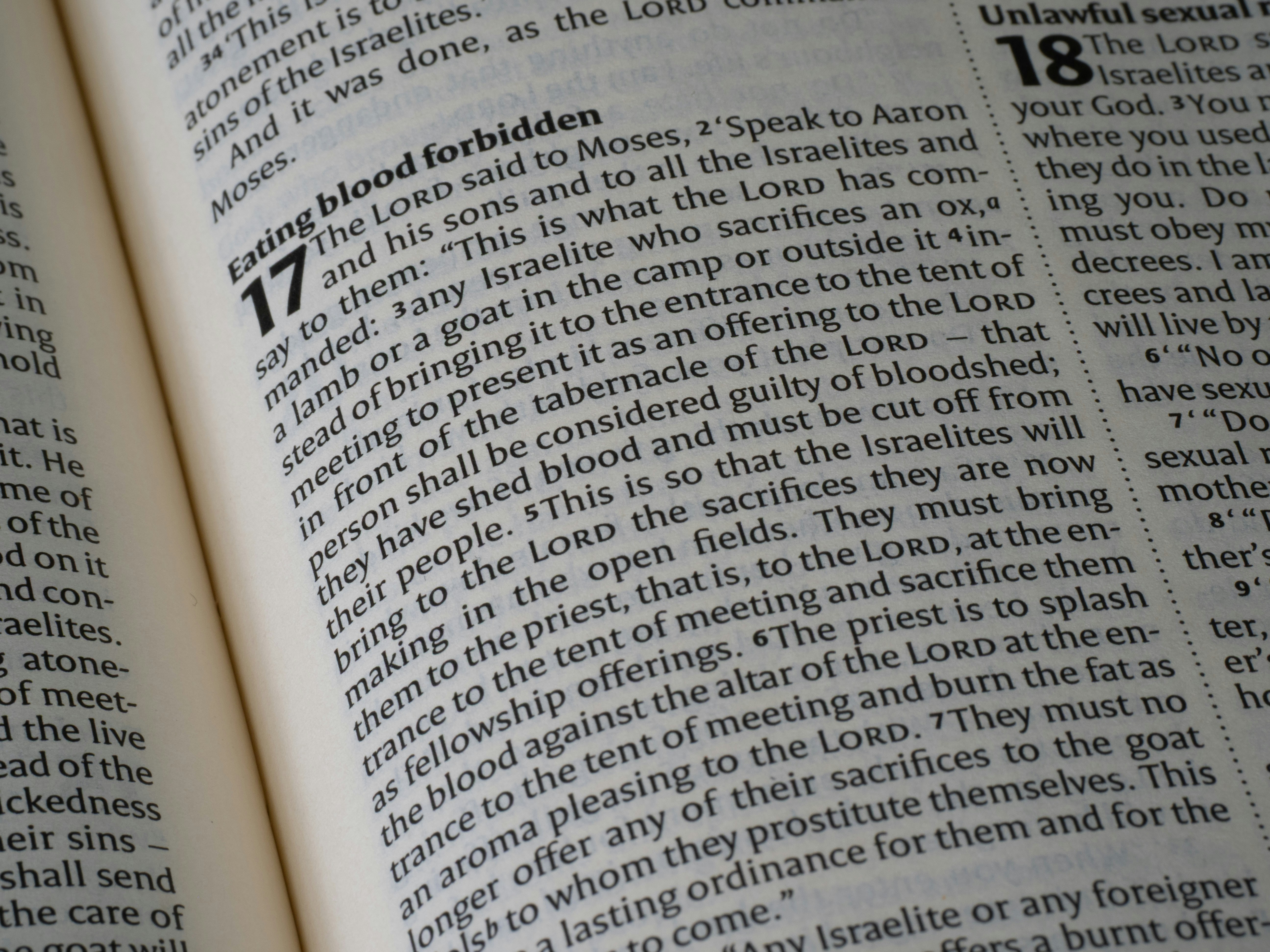 The Book of Leviticus