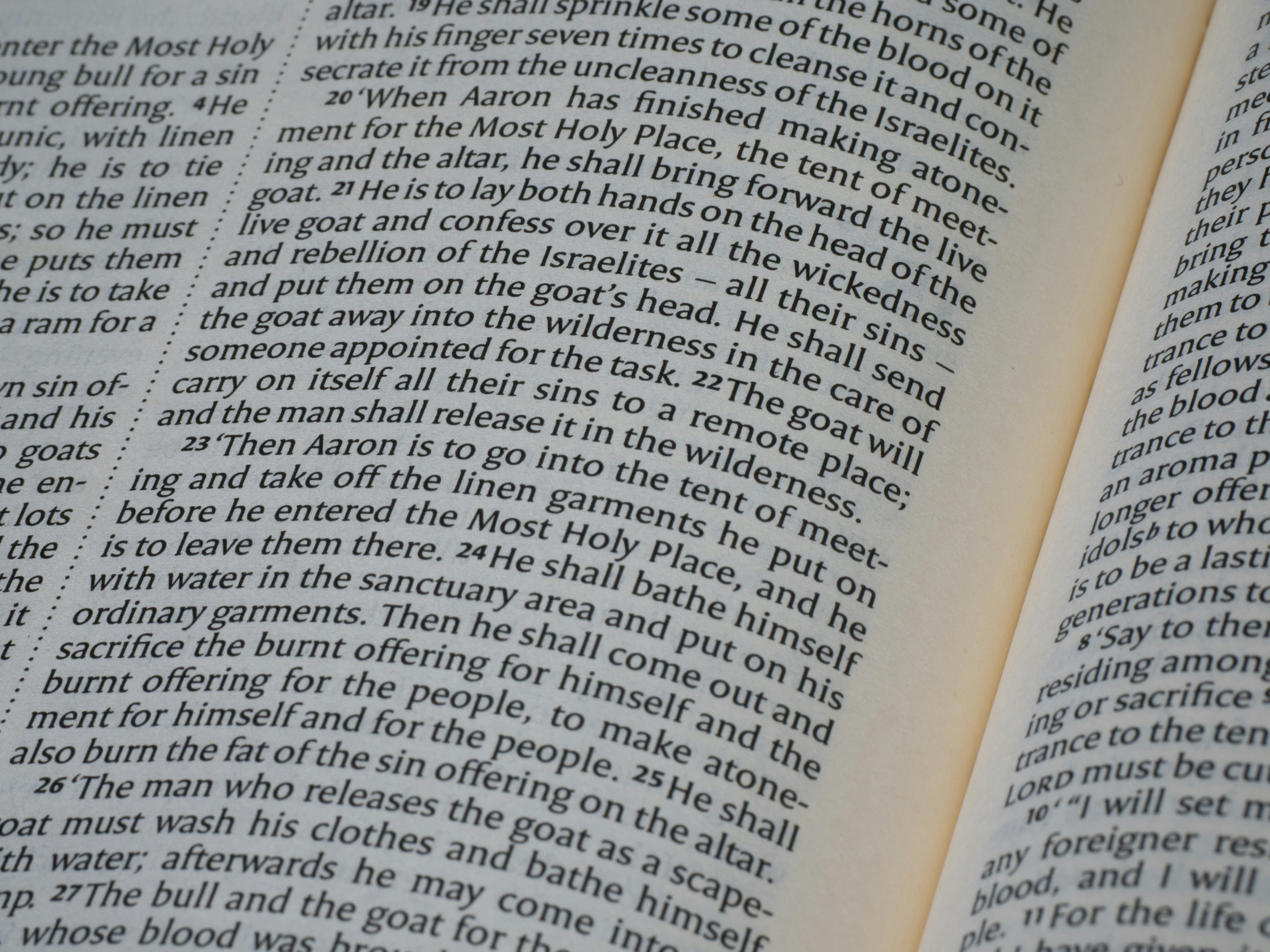 Open Page, Close-Up: A Golden-Tinted Bible Spread