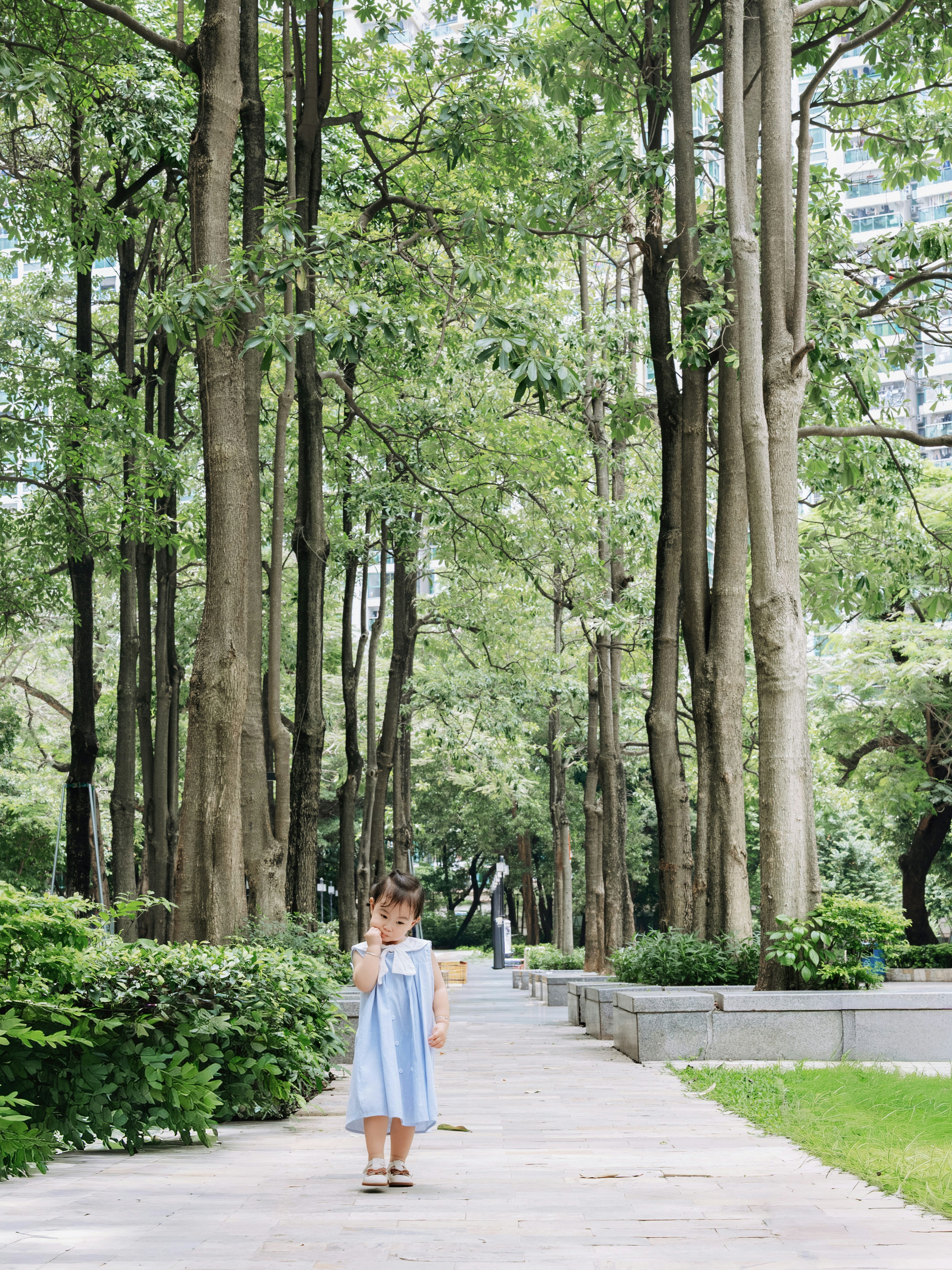 Little Wanderer in a Tall Green Avenue
