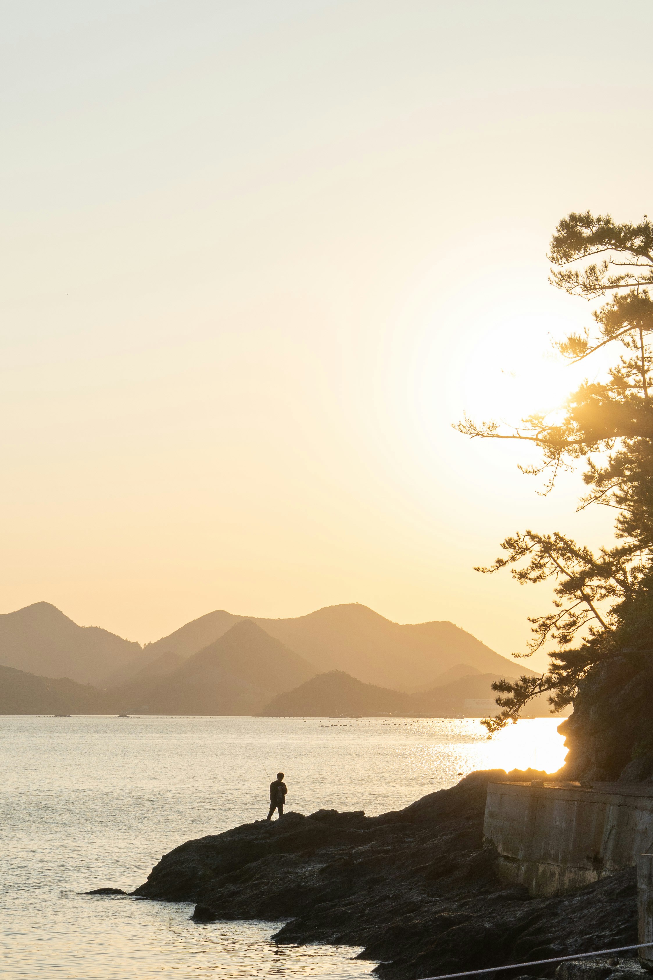 Sunlit Edge: A Lone Figure on the Coastal Promontory