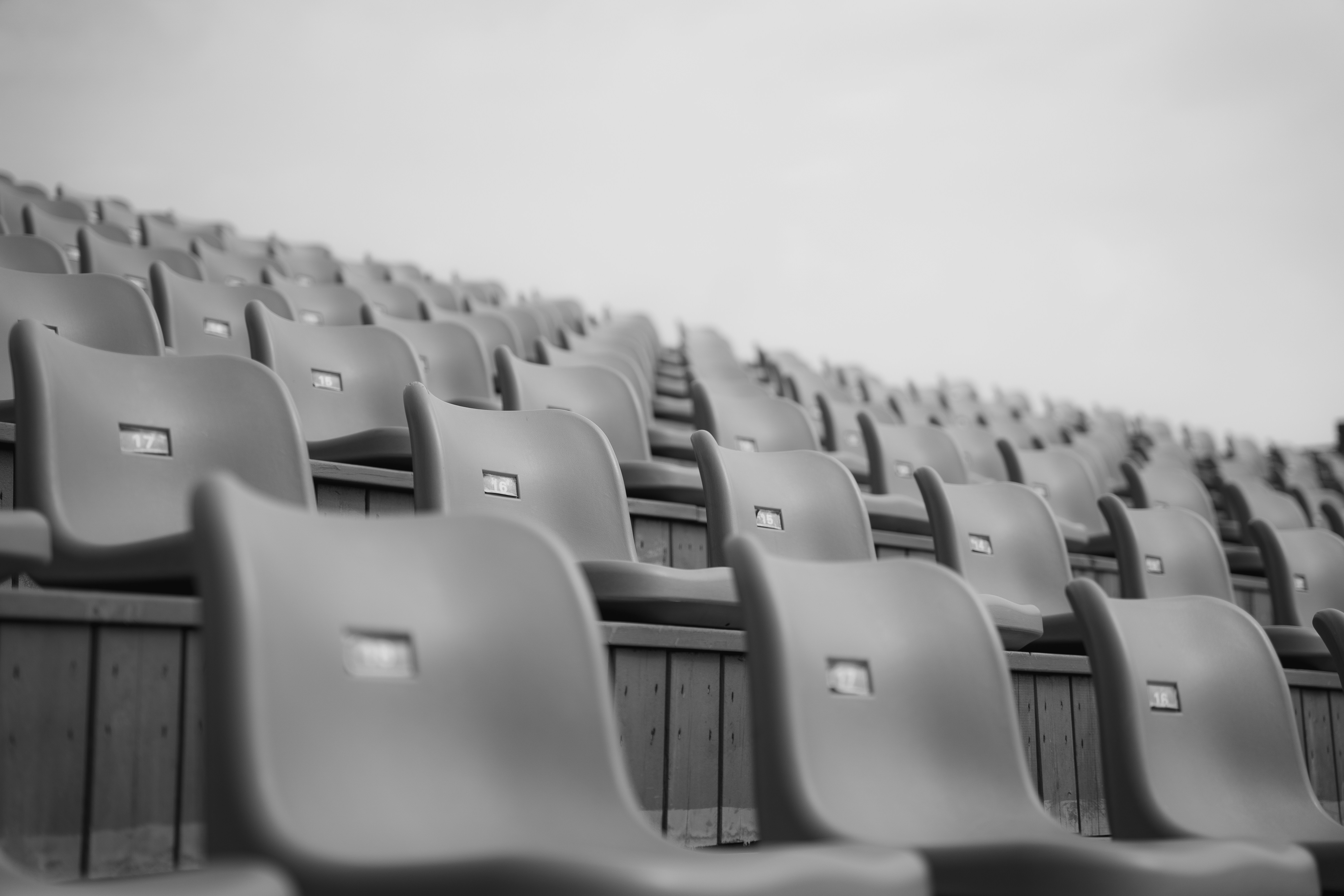 Rows of Quiet Concrete: An Endless Field of Stadium Seats