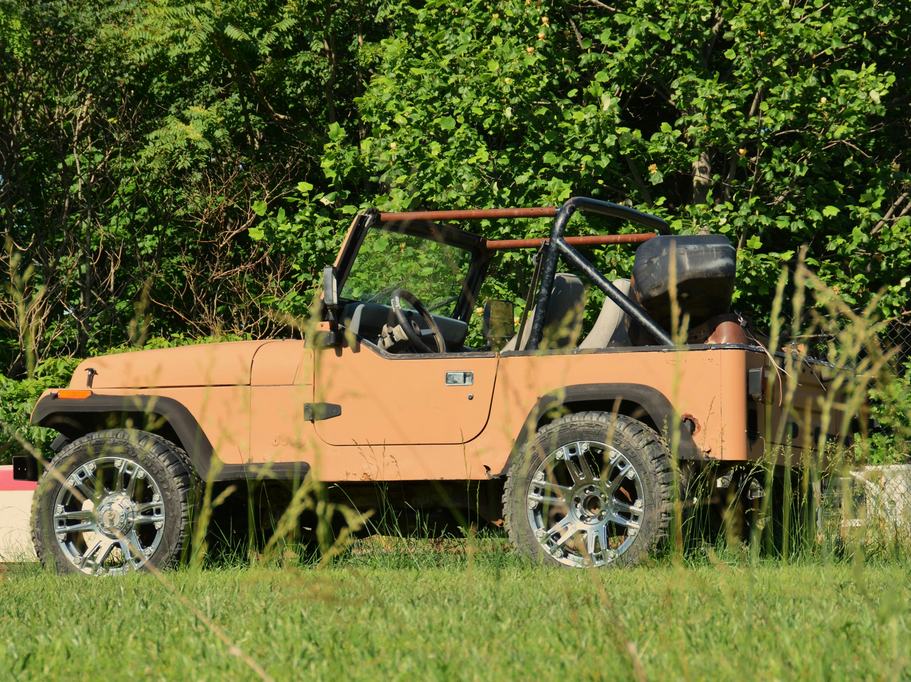 Peachy Jeep Resting in Sunlit Clearing
