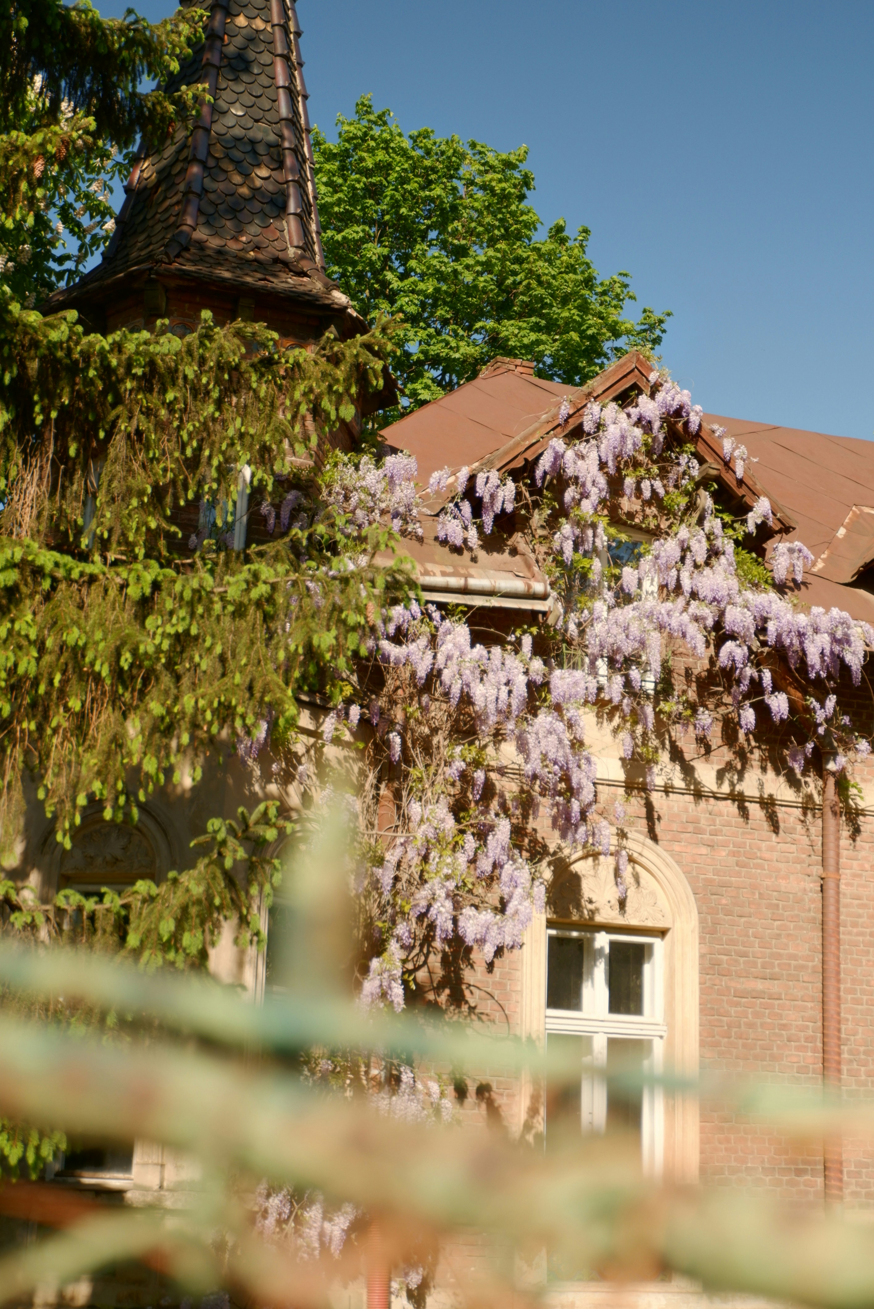 Wisteria-Touched Roofline: A Sunlit Brick Boutique