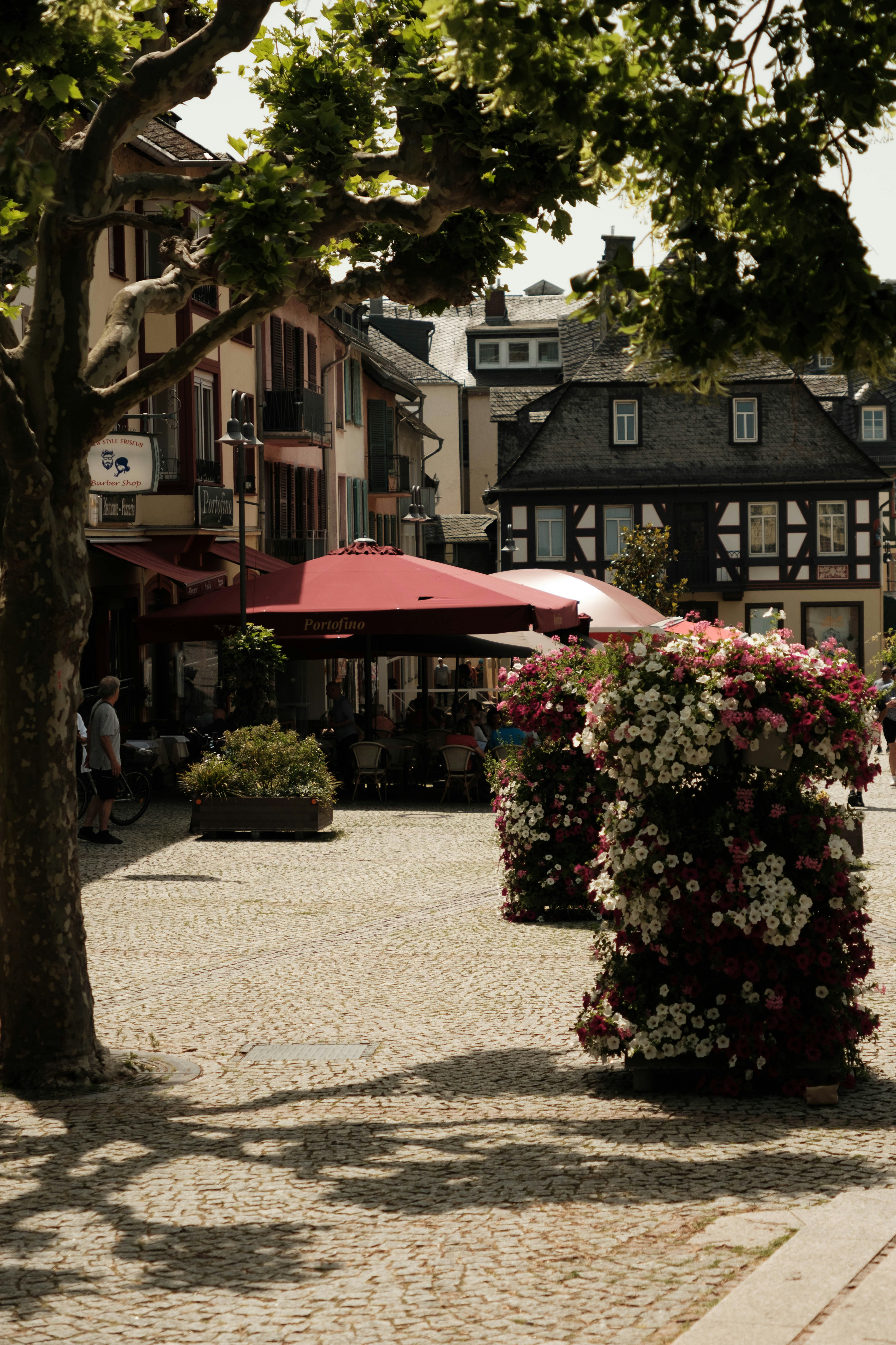 Sunlit Square in Flowered Corner Café