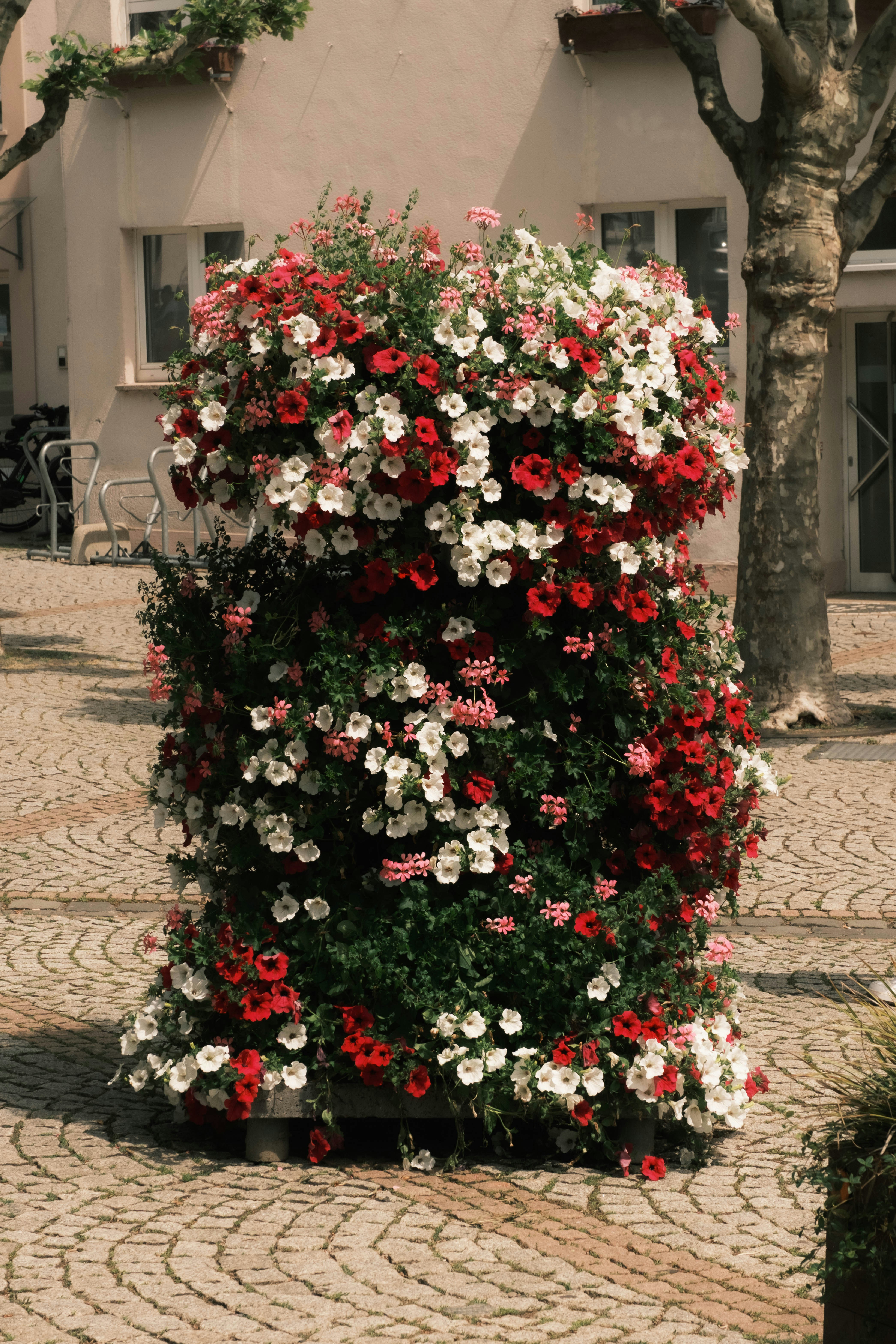 Bouquet Column of Reds and Whites in a Sunlit Courtyard