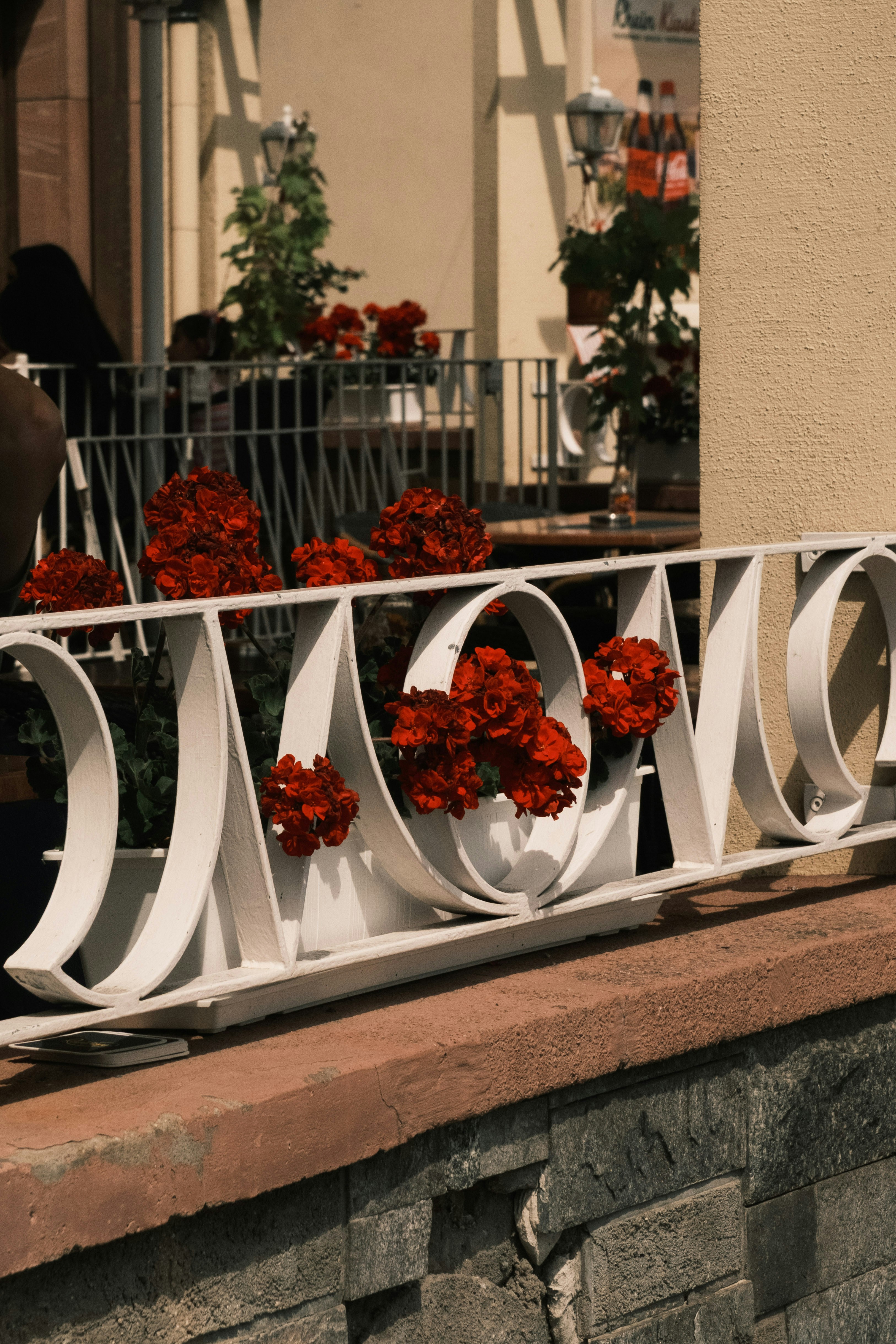 Red Bouquets on a White Ornamental Railing by a Sunny Terrace