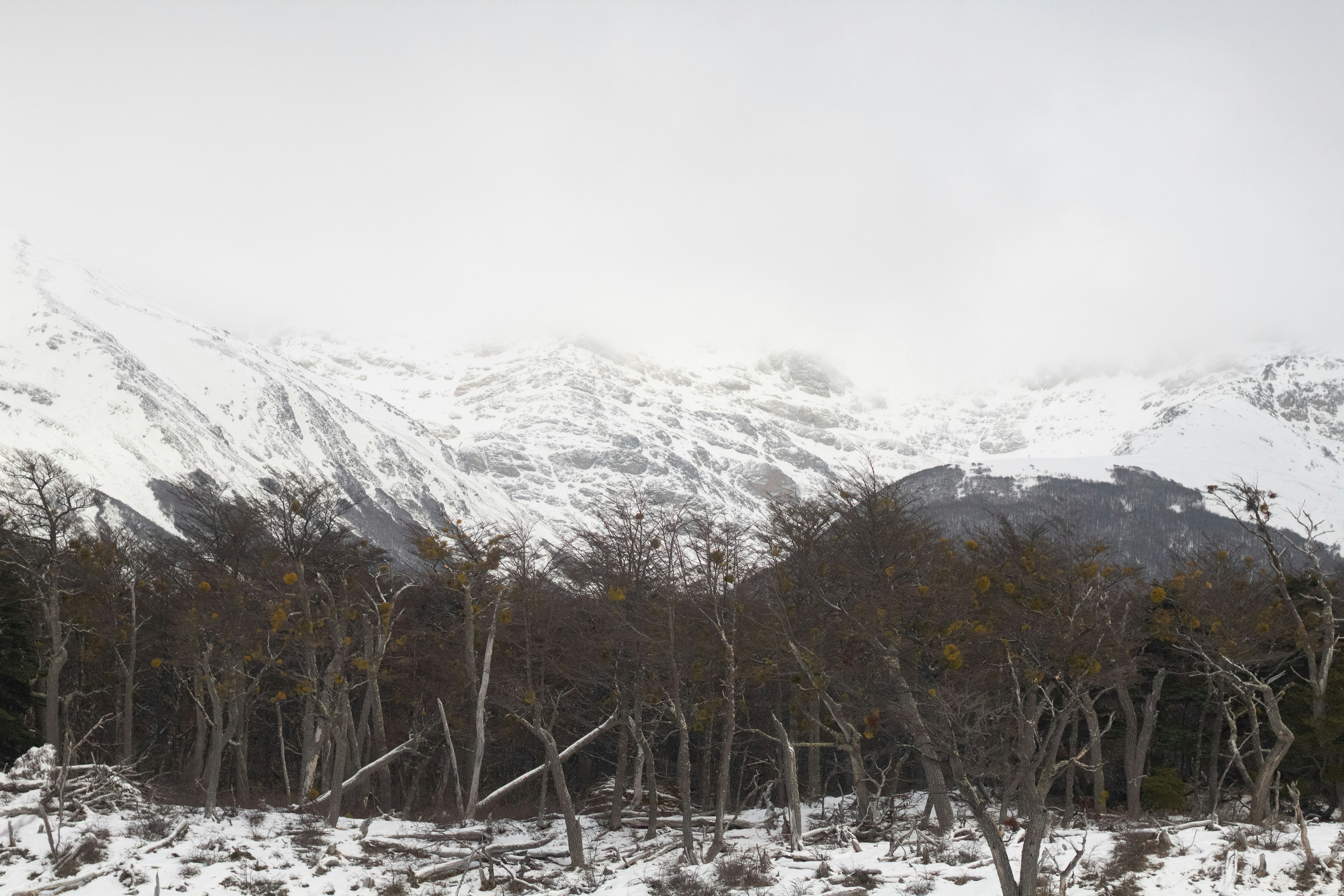 Snow-kissed Peaks Beyond the Barrens