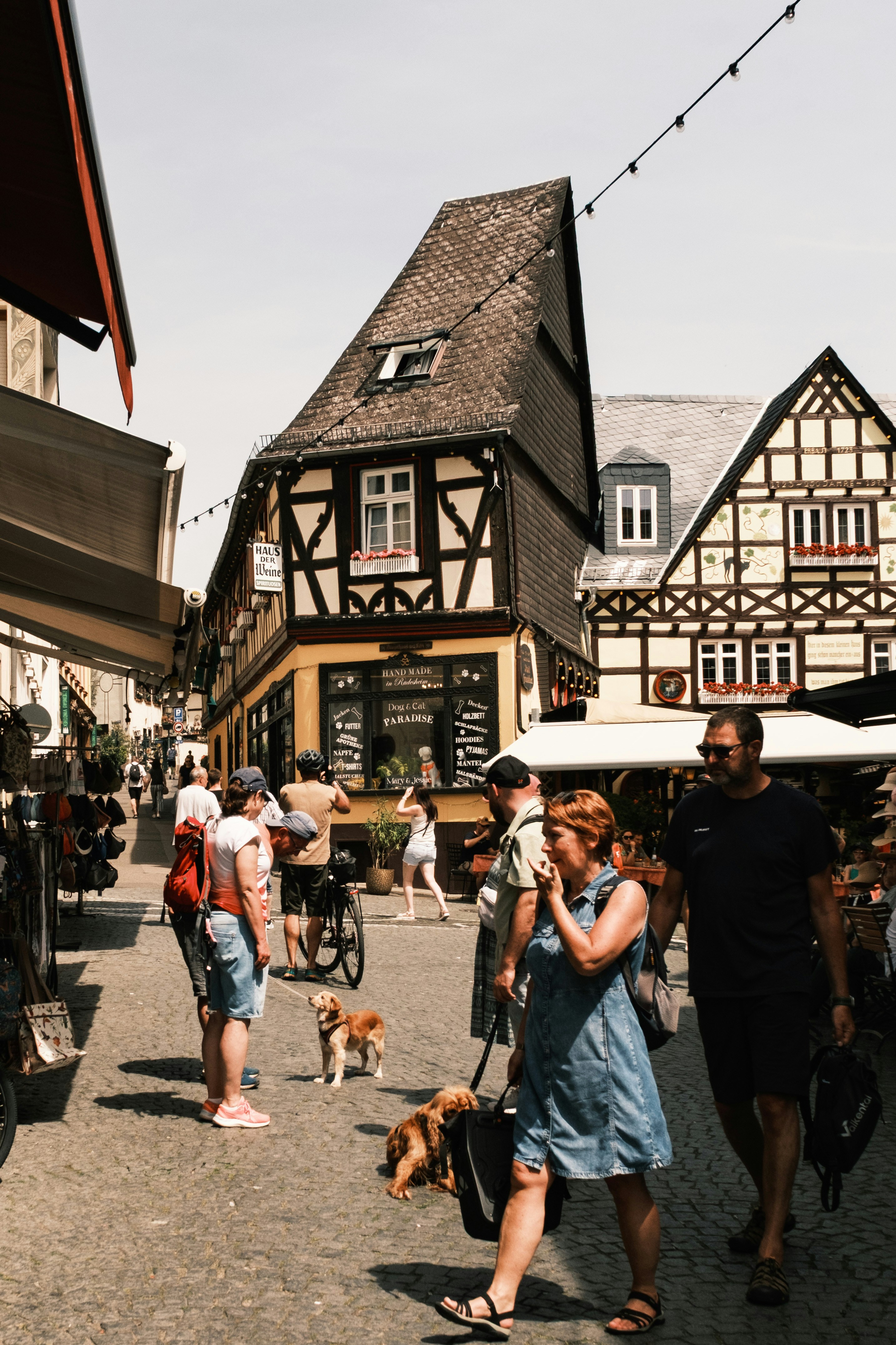 Cobbled Street in a Half-Timbered Town: People, Pets, and Charm