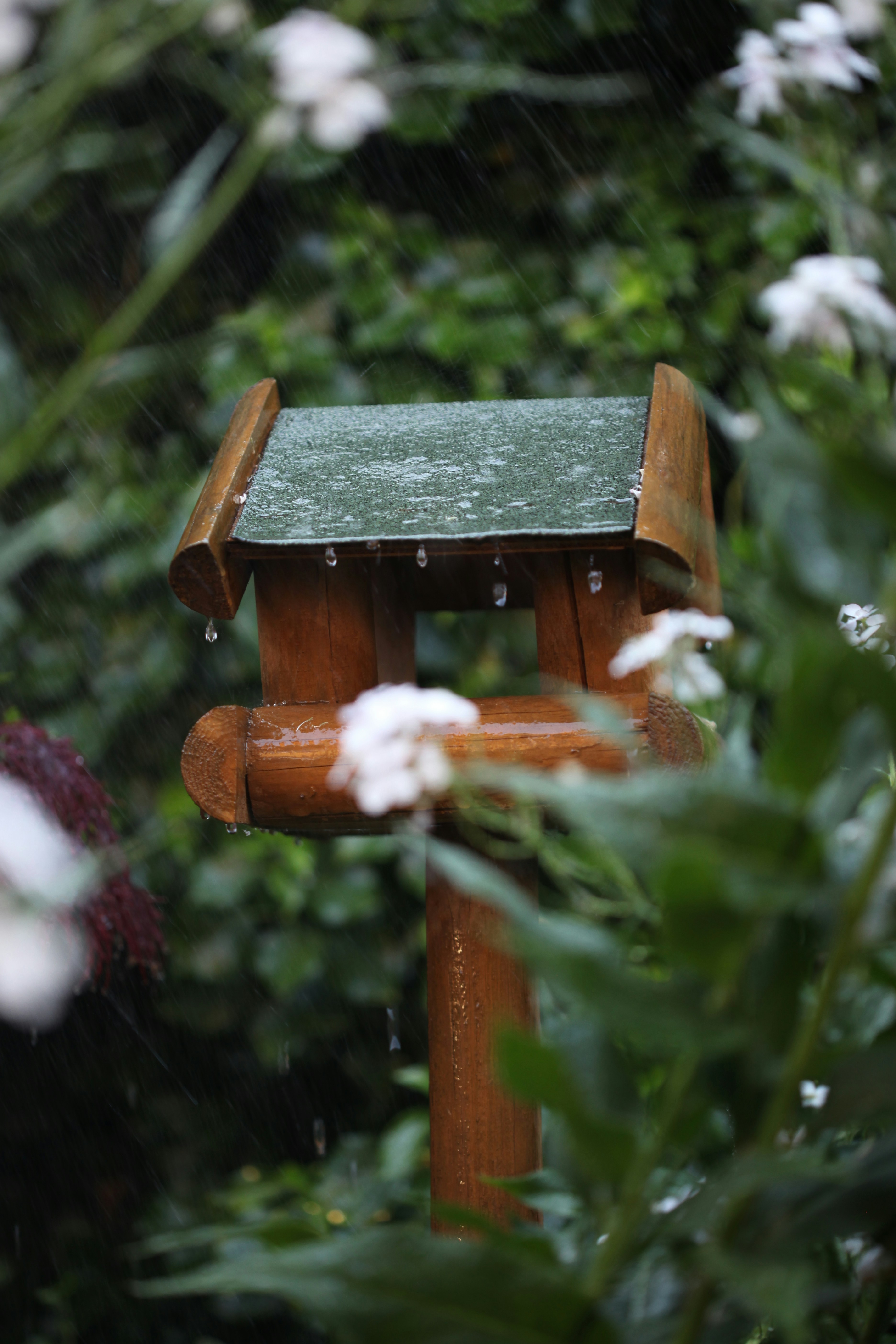 Rain-kissed Birdhouse in a Green Oasis