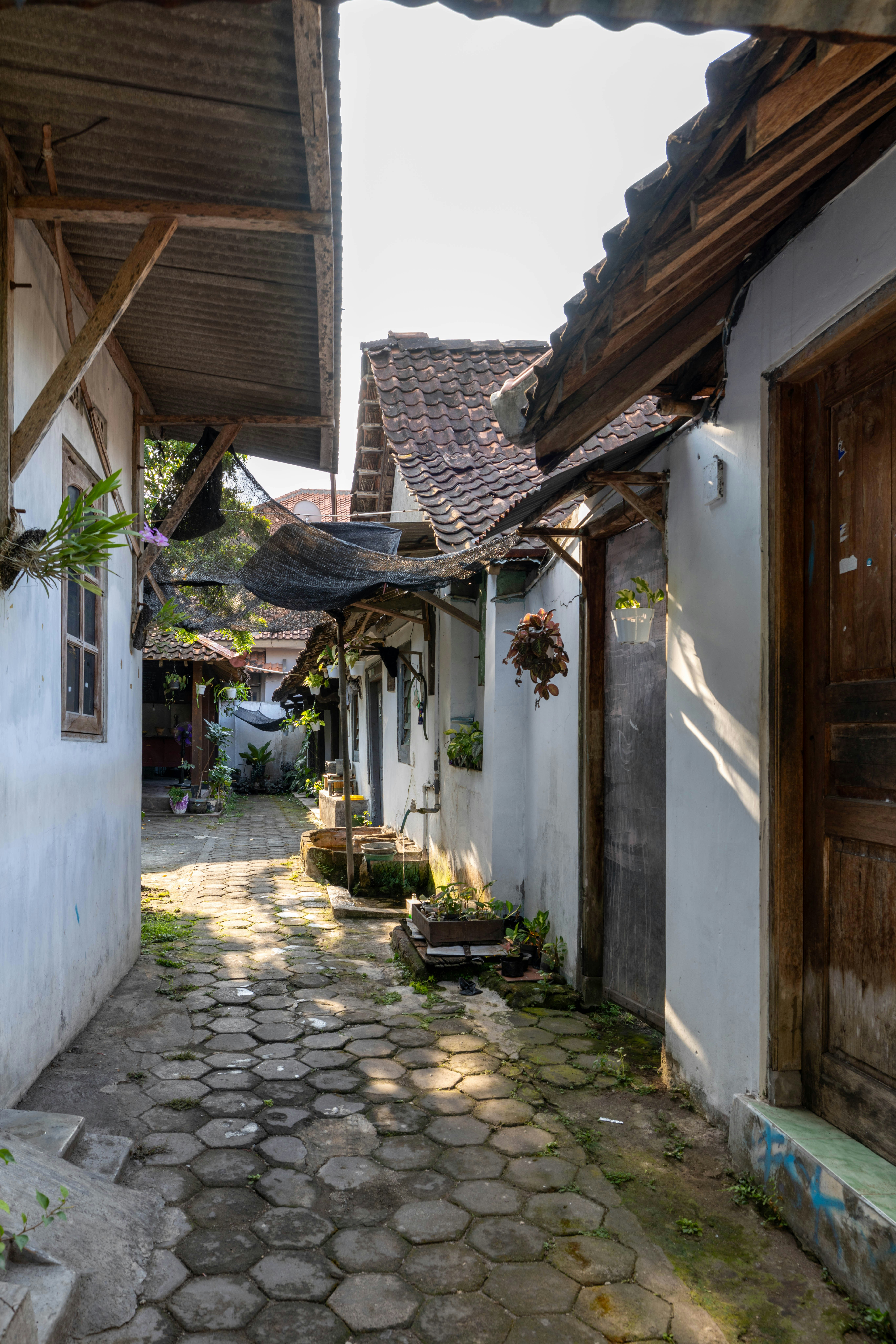 Narrow Village Alleyway: Sunlit Tiles, Worn Roofs, and Potted Quiet