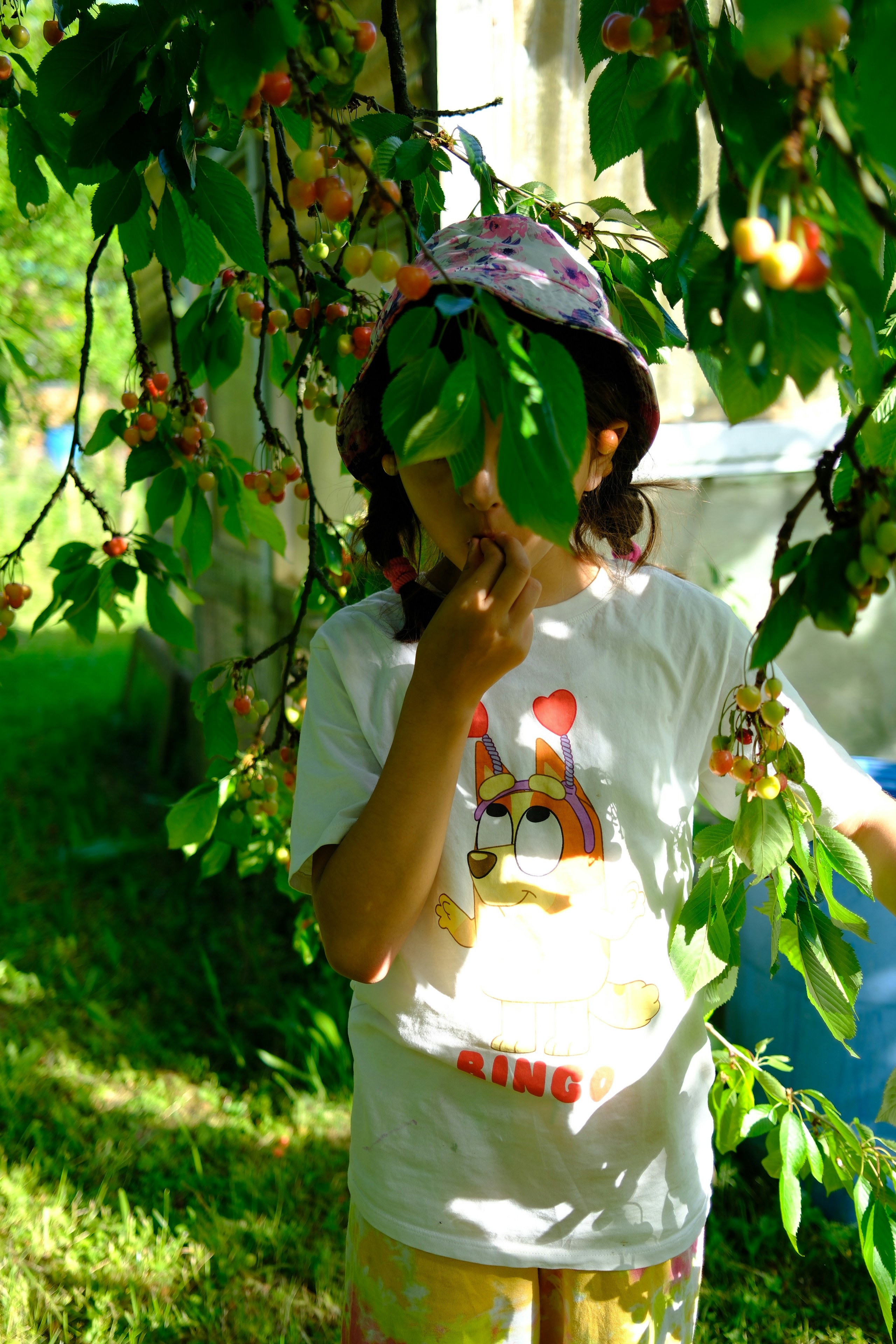 Mistress of the Orchard: A Girl in the Cherry Shade