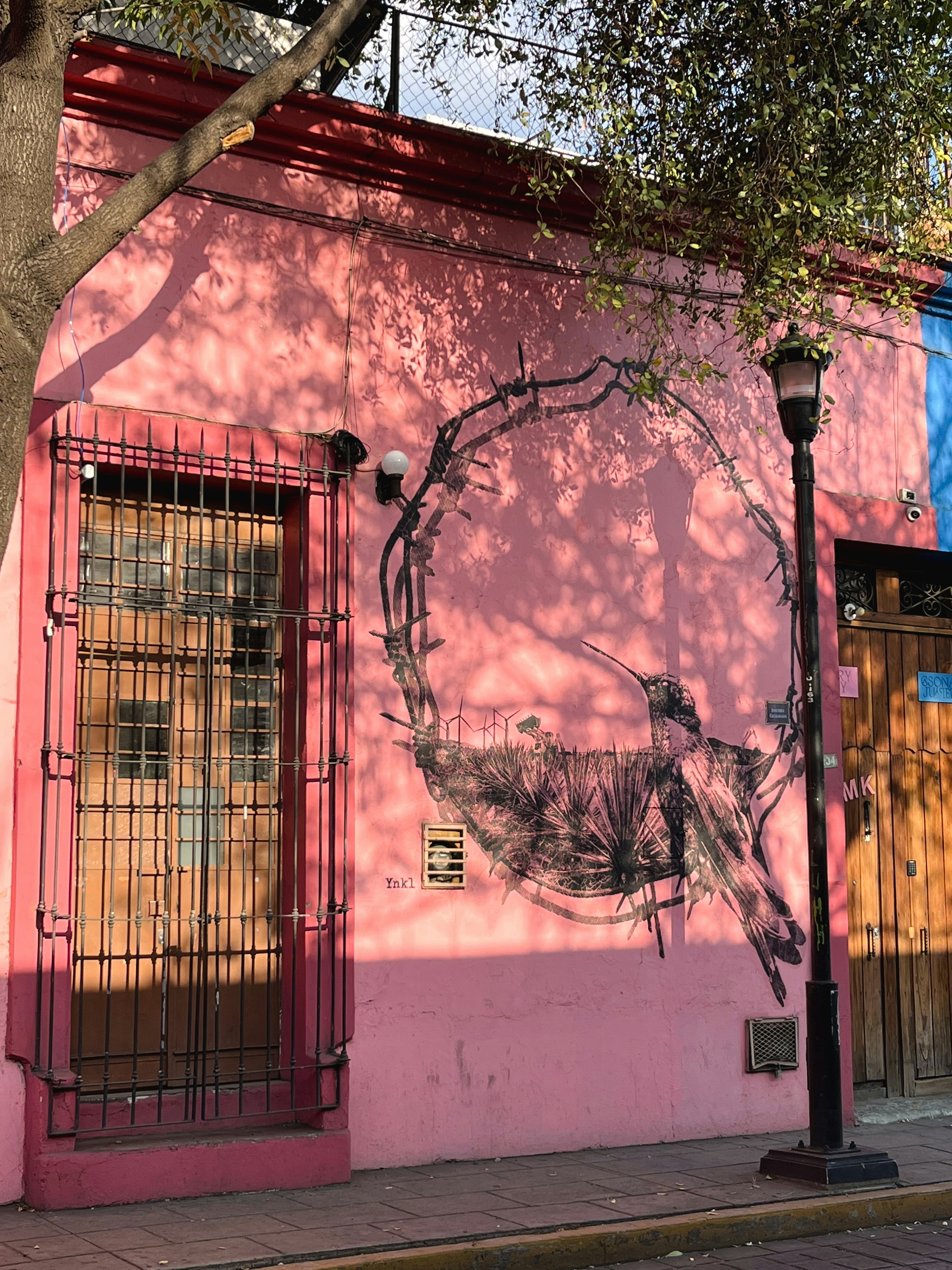 Pink wall with hummingbird mural, barred door, and lamppost.