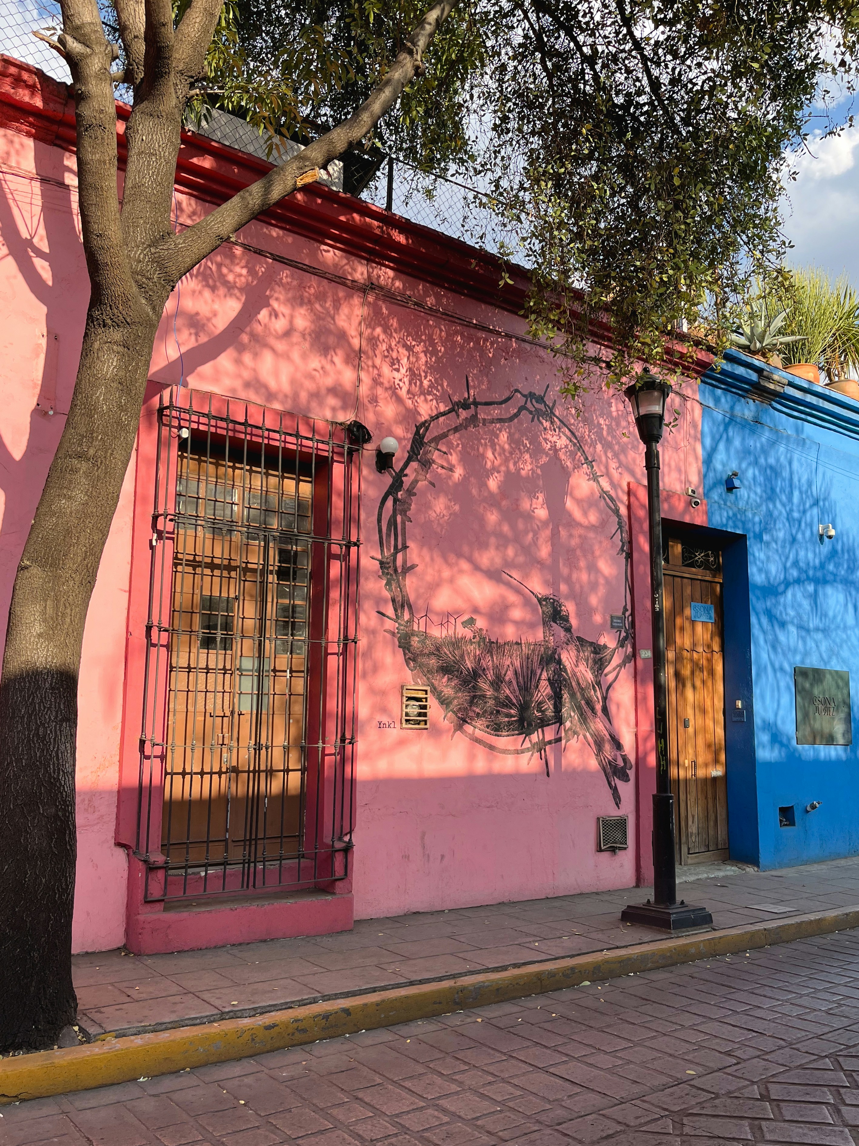 Vibrant pink and blue buildings line a sunny street.